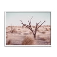 Stupell Industries Southwestern Desert Tree Landscape Soft Muted Brush ...