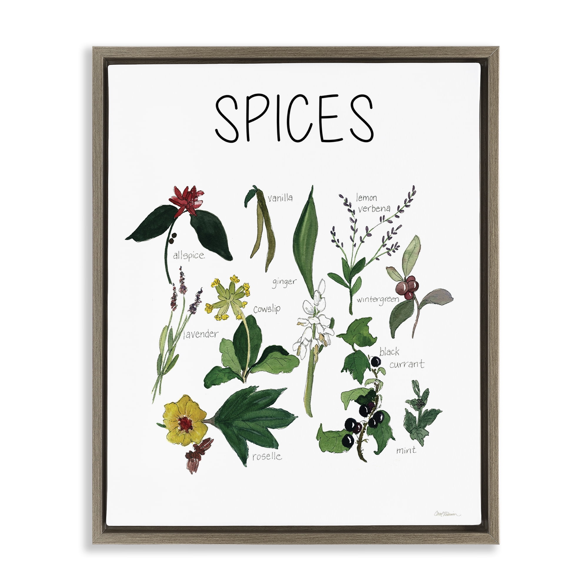 Stupell Industries Spices Identification Chart Brown Framed Floater ...