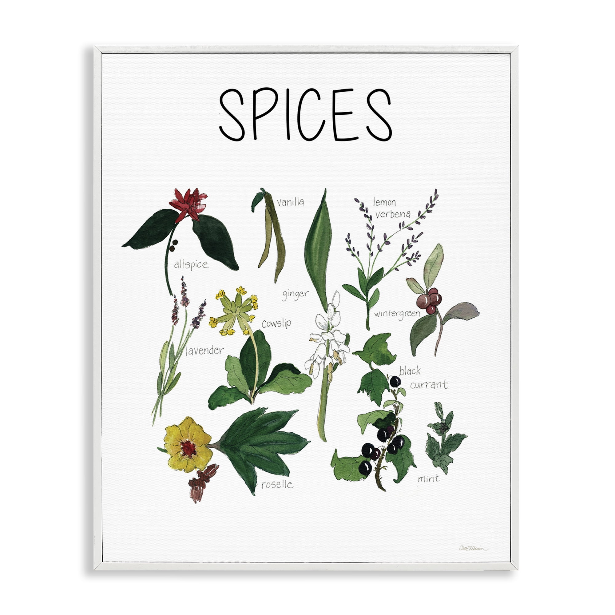 Stupell Industries Spices Identification Chart White Framed Giclee Art ...