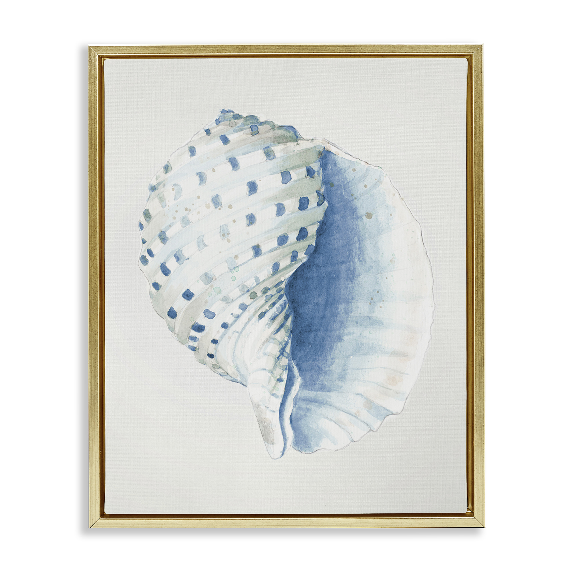 Stupell Industries Spotted Conch Shell Animals & Insects Painting Gold ...