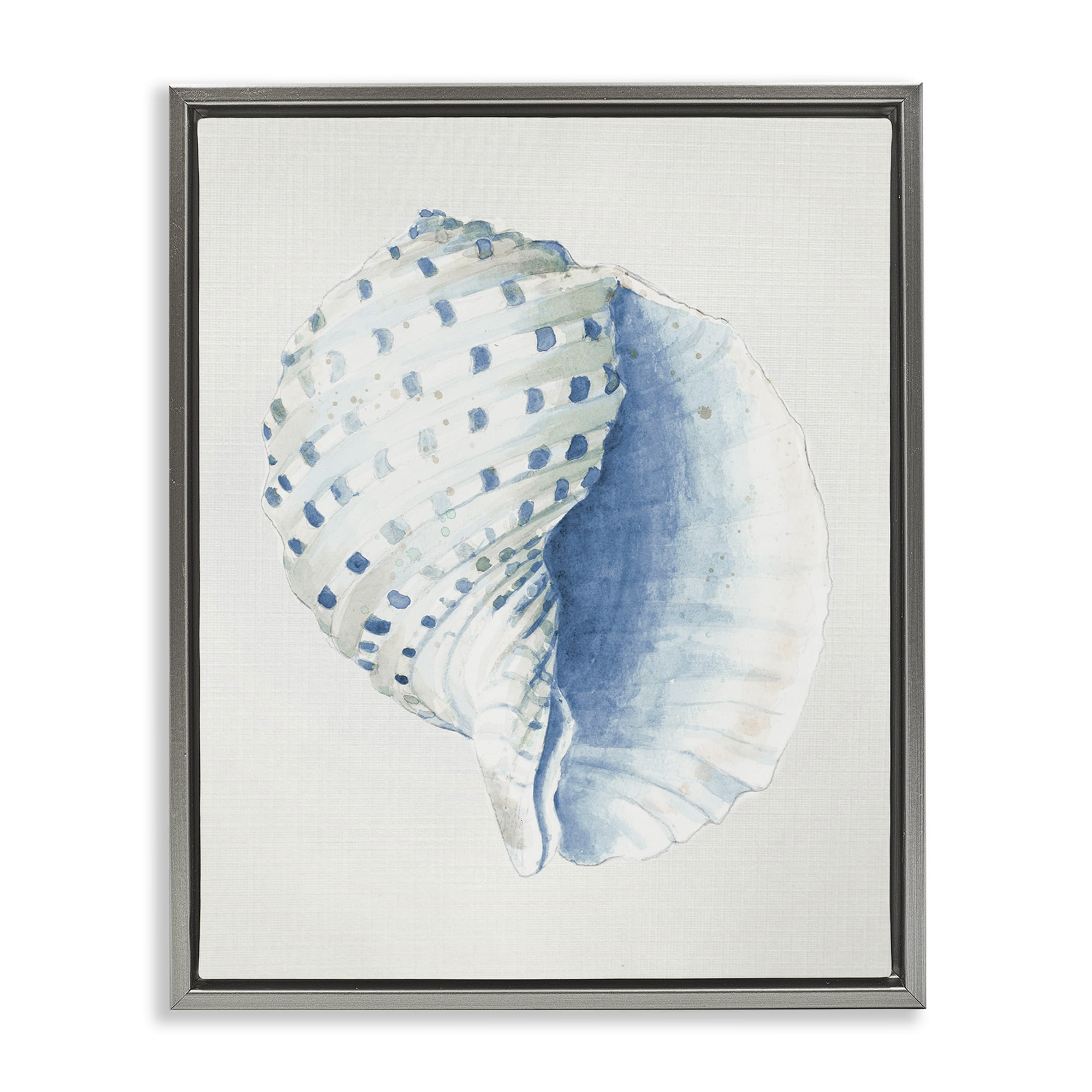 Stupell Industries Spotted Conch Shell Animals & Insects Painting Gray ...