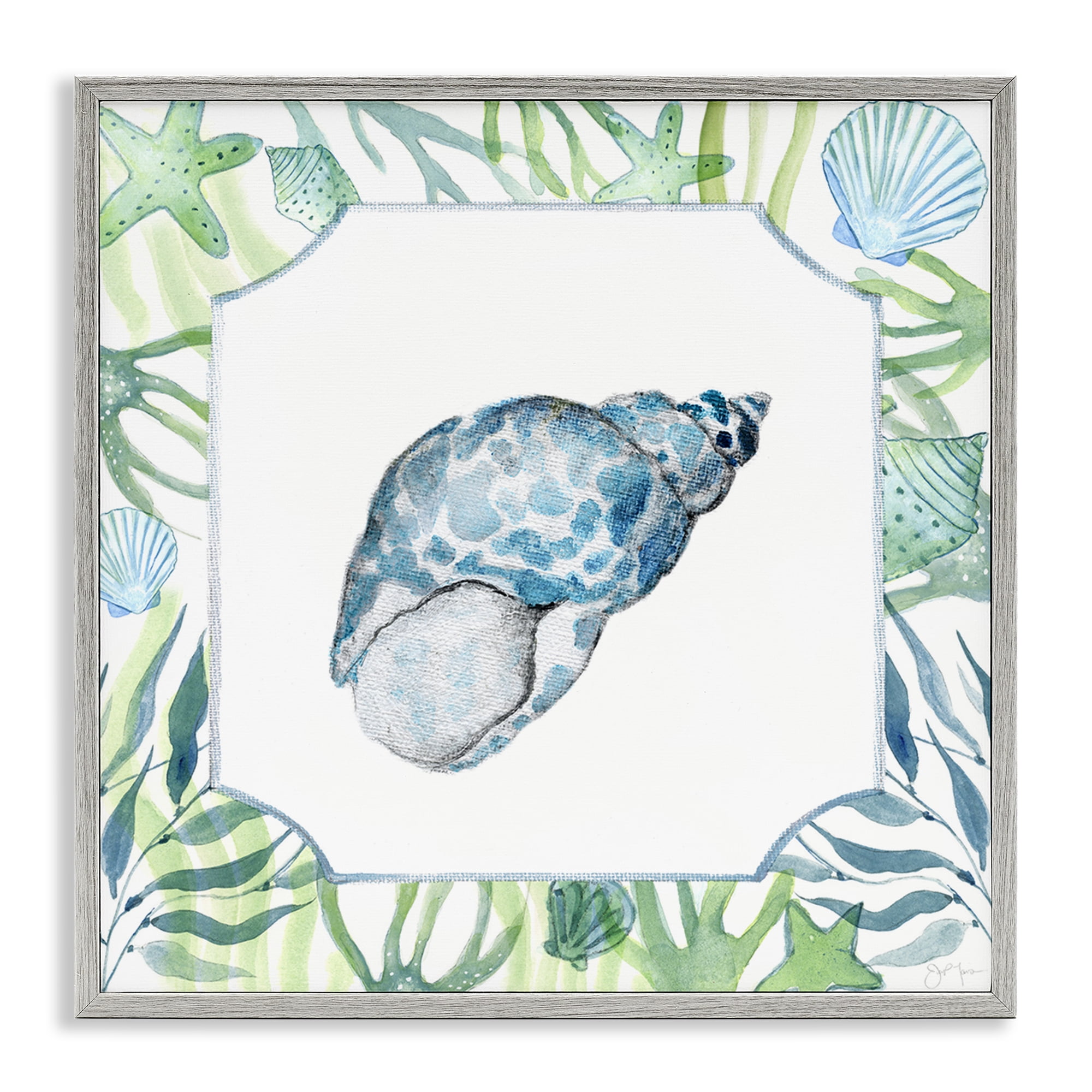 Stupell Industries Spotted Cowrie with Seaweed Gray Framed Giclee Art ...