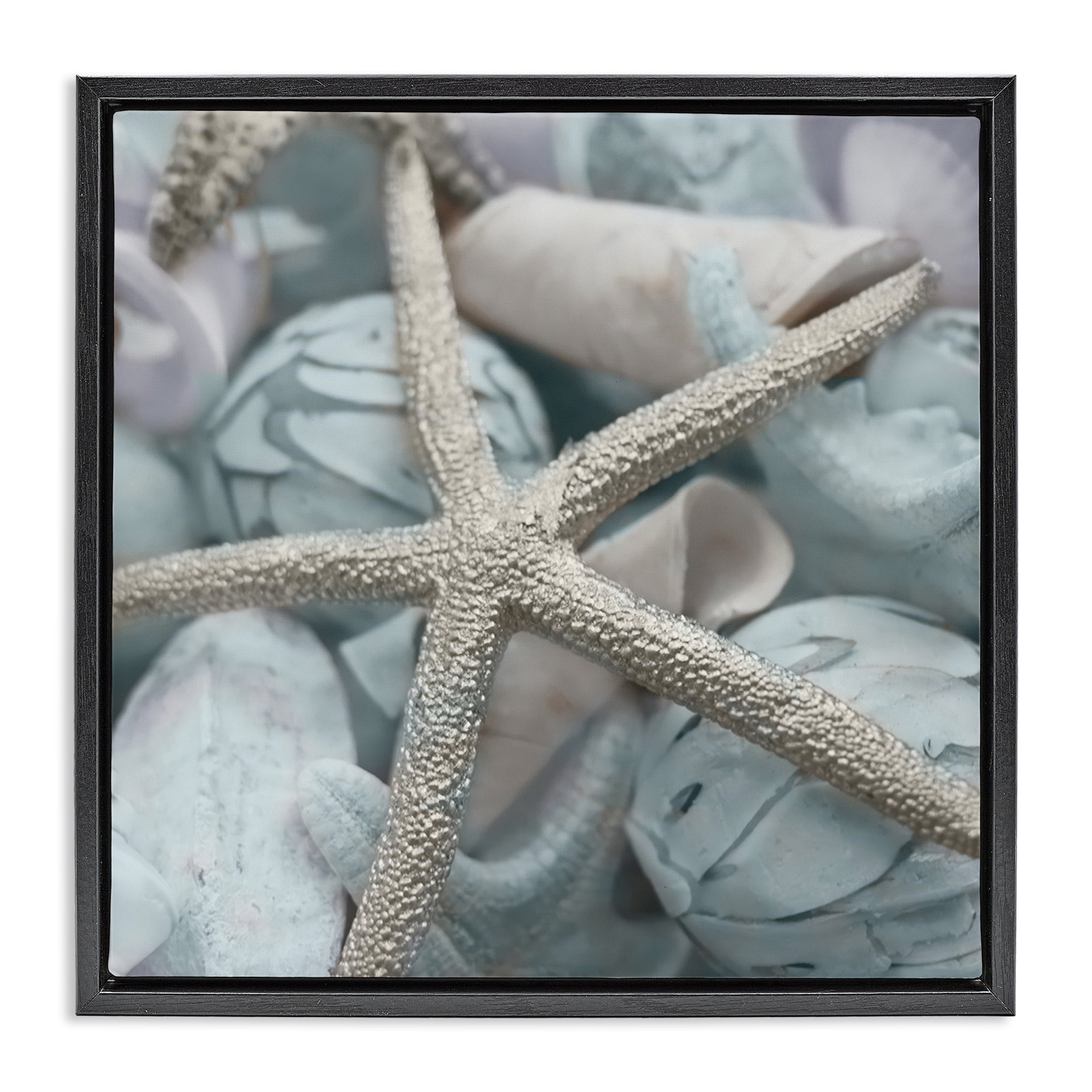 Stupell Industries Starfish & Various Shells Nautical & Beach Photography Black Floater Framed ...