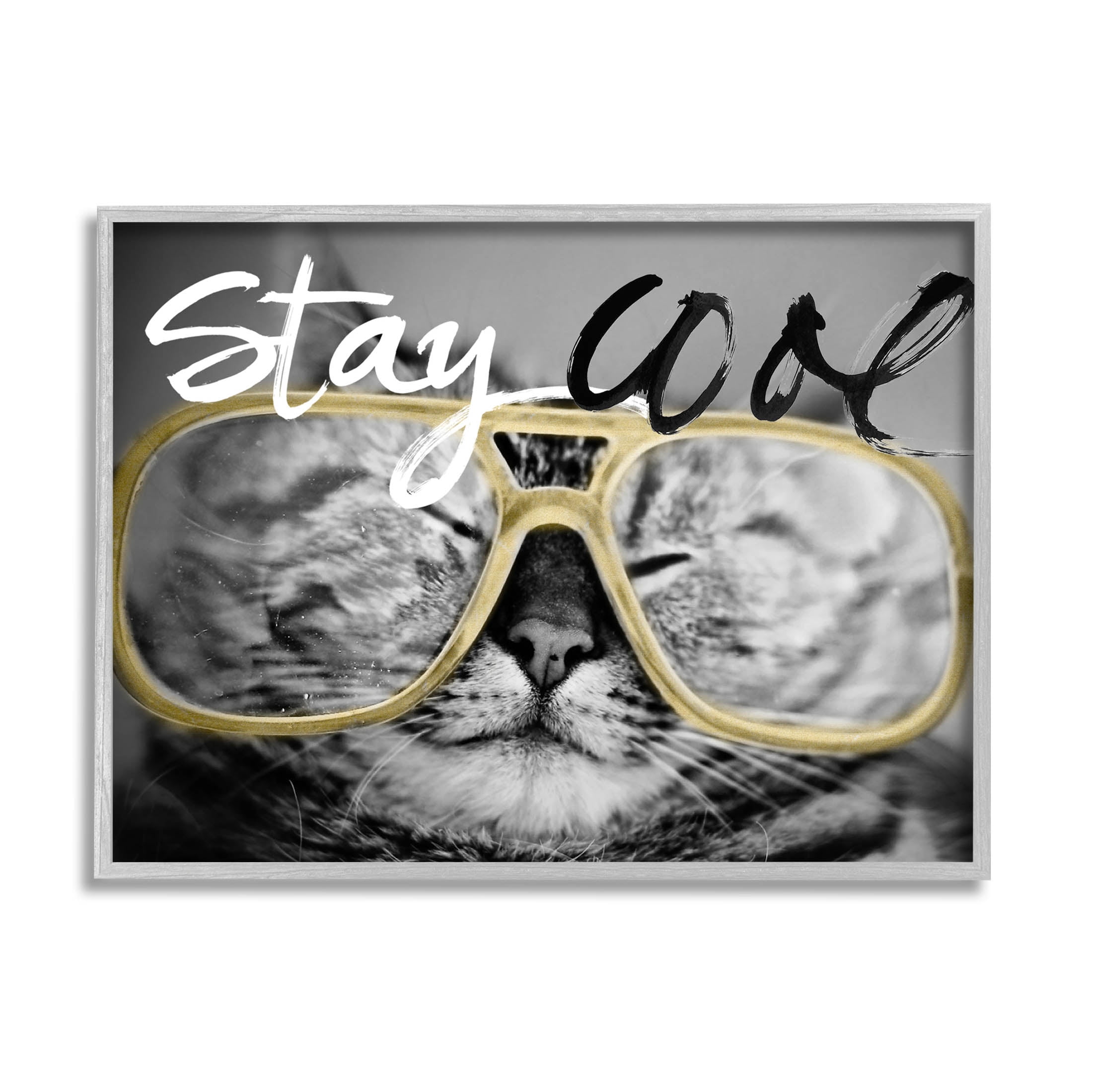 Stupell Industries Stay Cool Cat Glasses Graphic Art Gray Framed Art ...