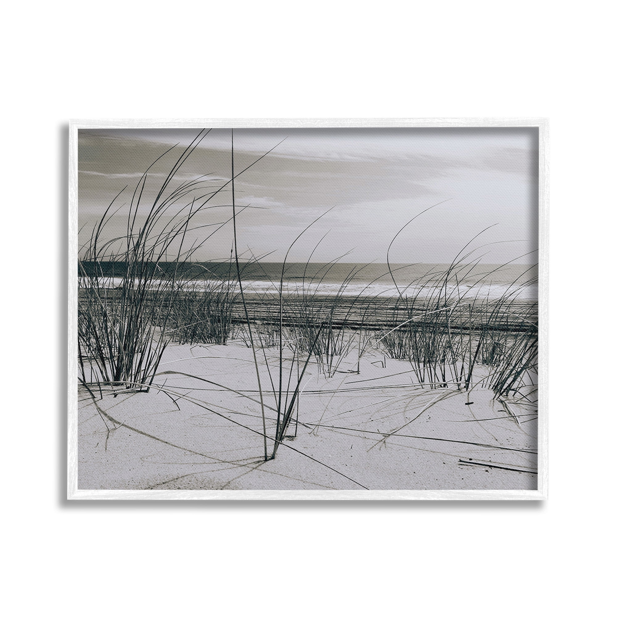 Stupell Industries Subtle Beach Reeds Landscape Photography White ...