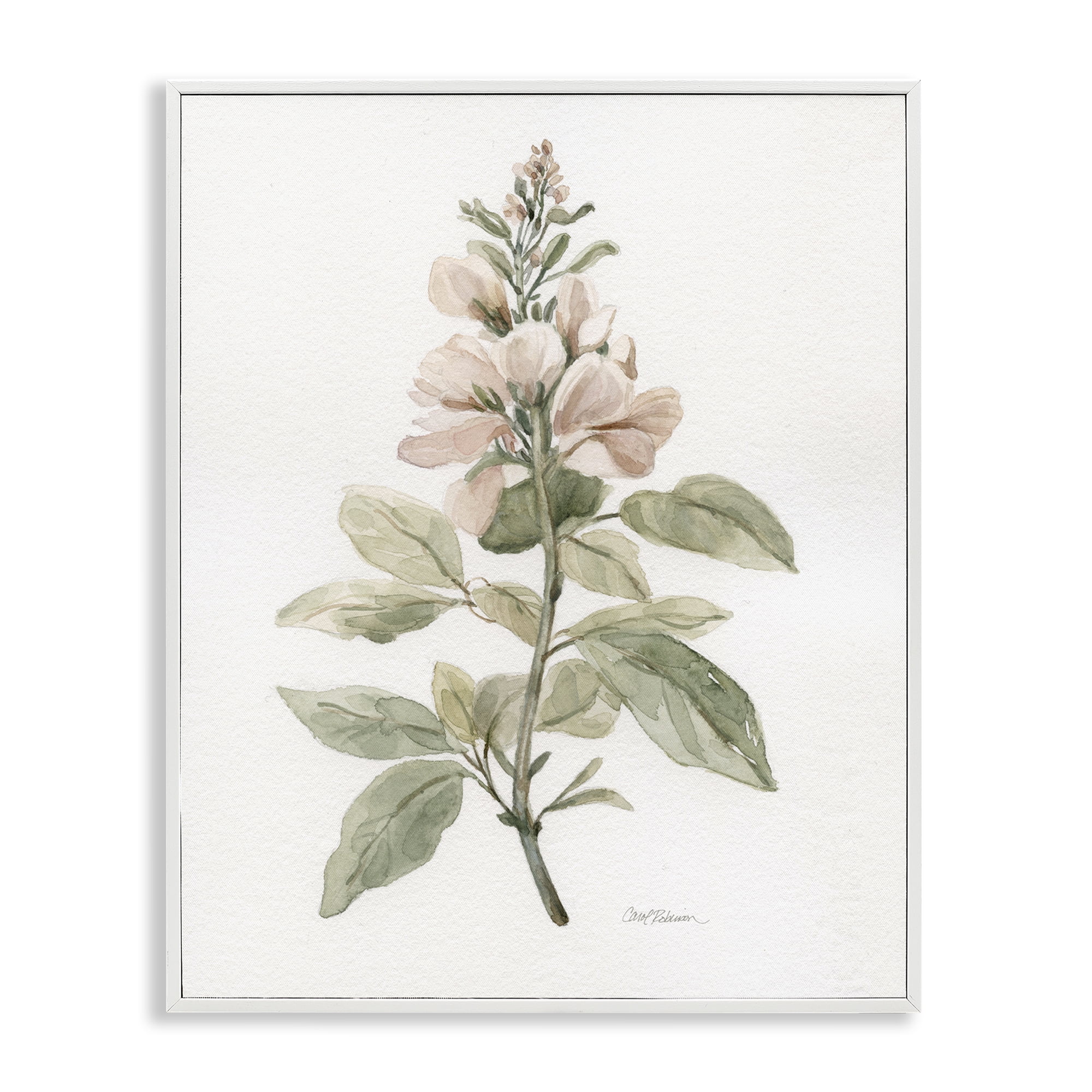 Stupell Industries Subtle Watercolor Botanicals Plants & Flowers ...