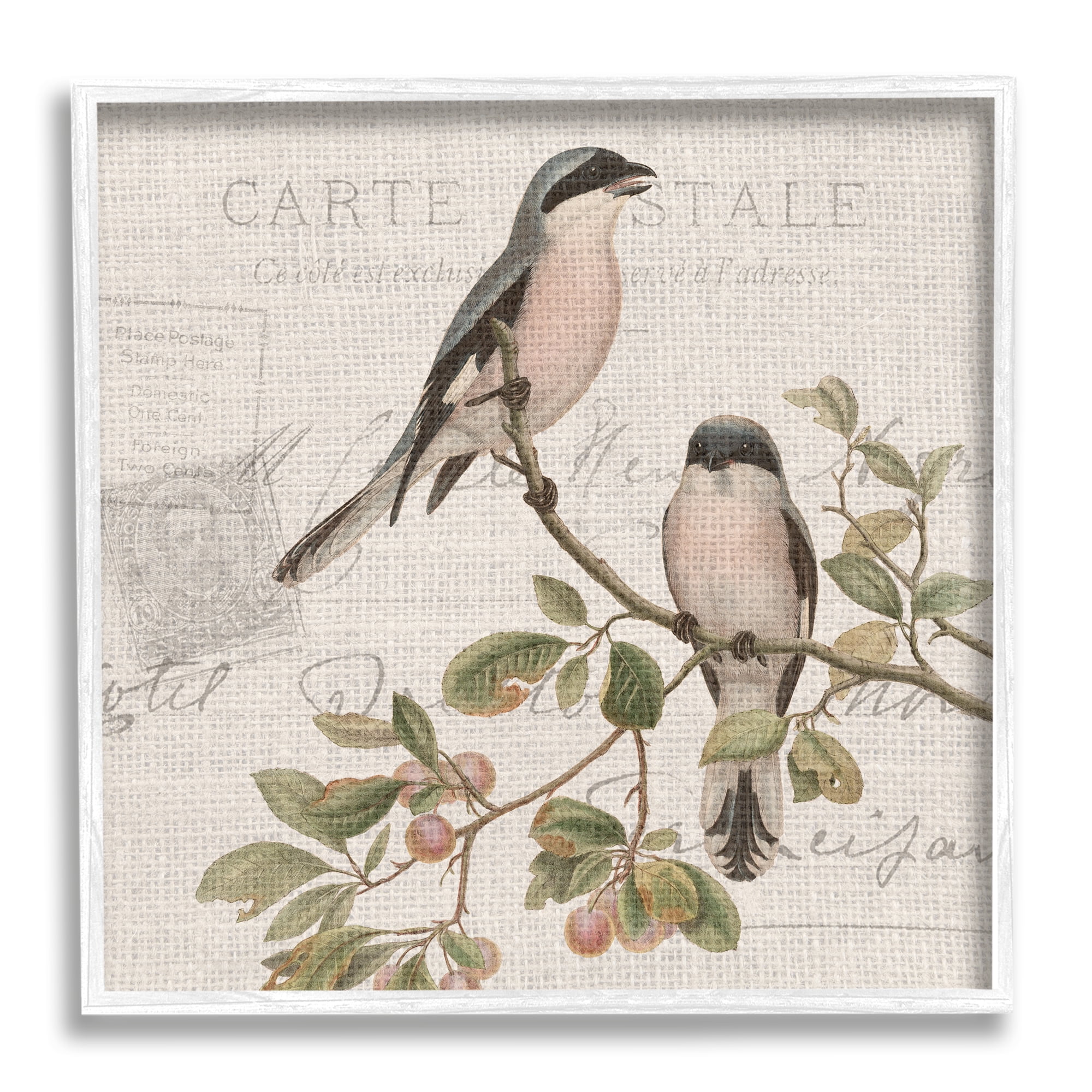 Stupell Industries Summer Birds Tree Branch Antique European Postal ...