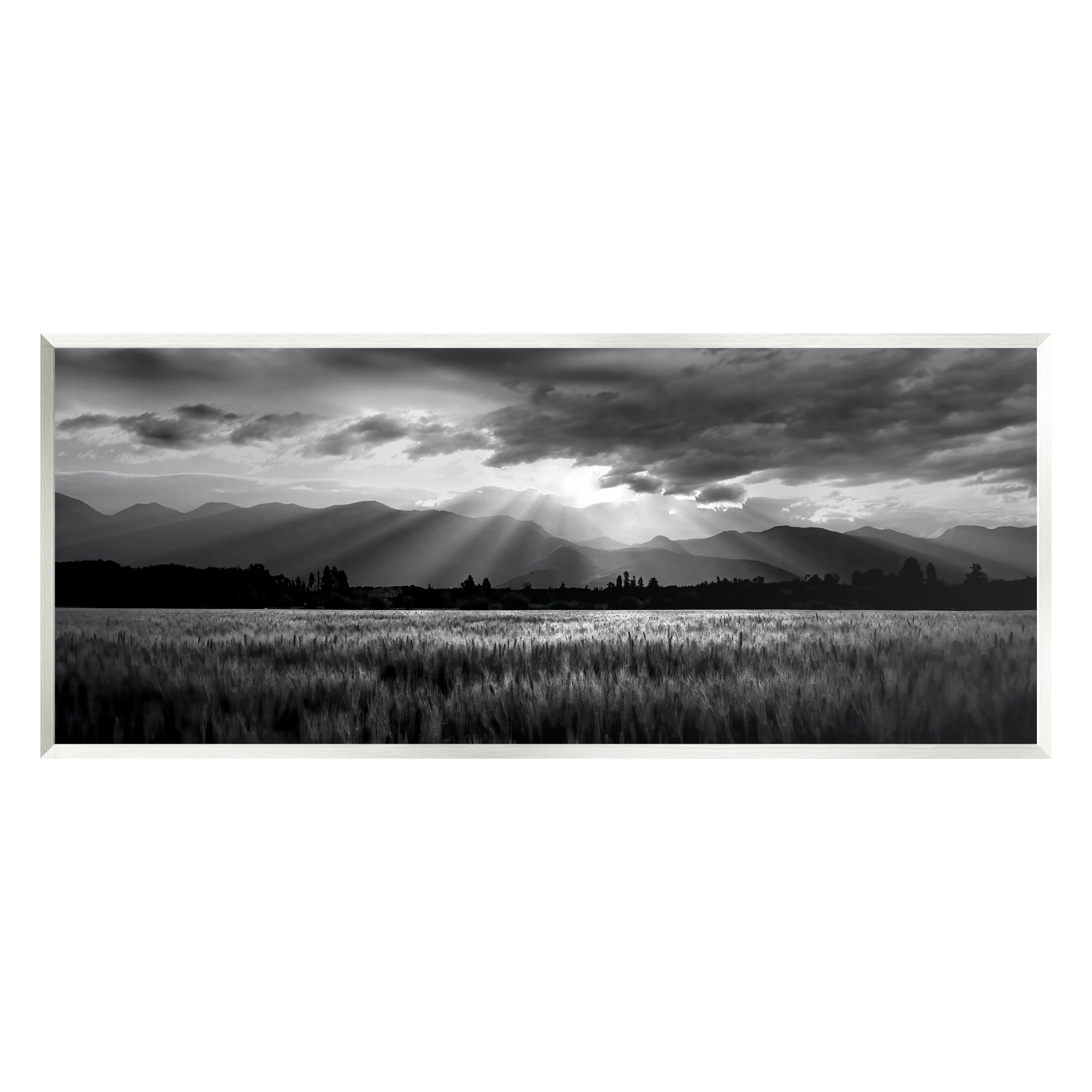 Stupell Industries Sun Rays Field Landscape Landscape Photography ...