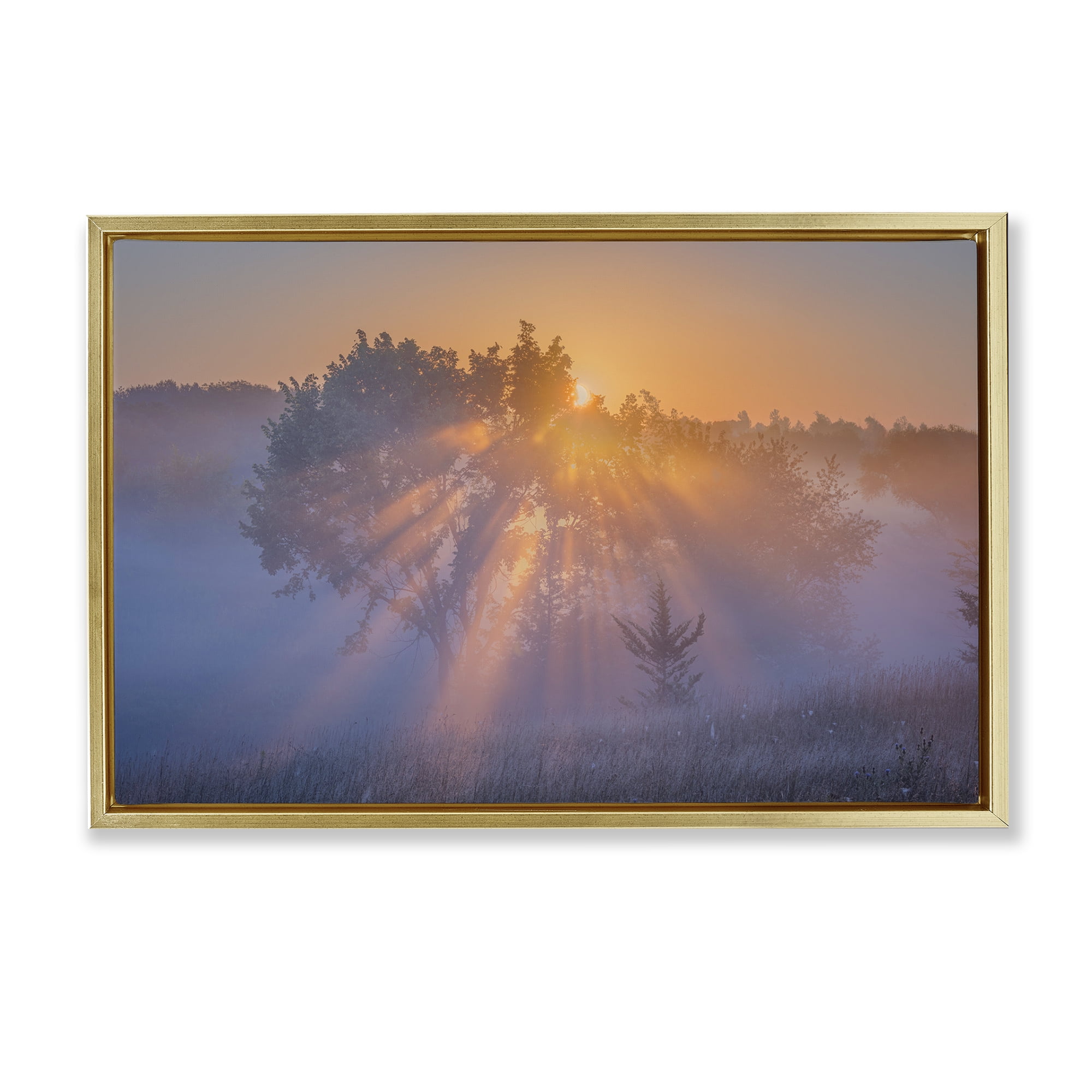 Stupell Industries Sun Rays Peeking Landscape Landscape & Nature ...