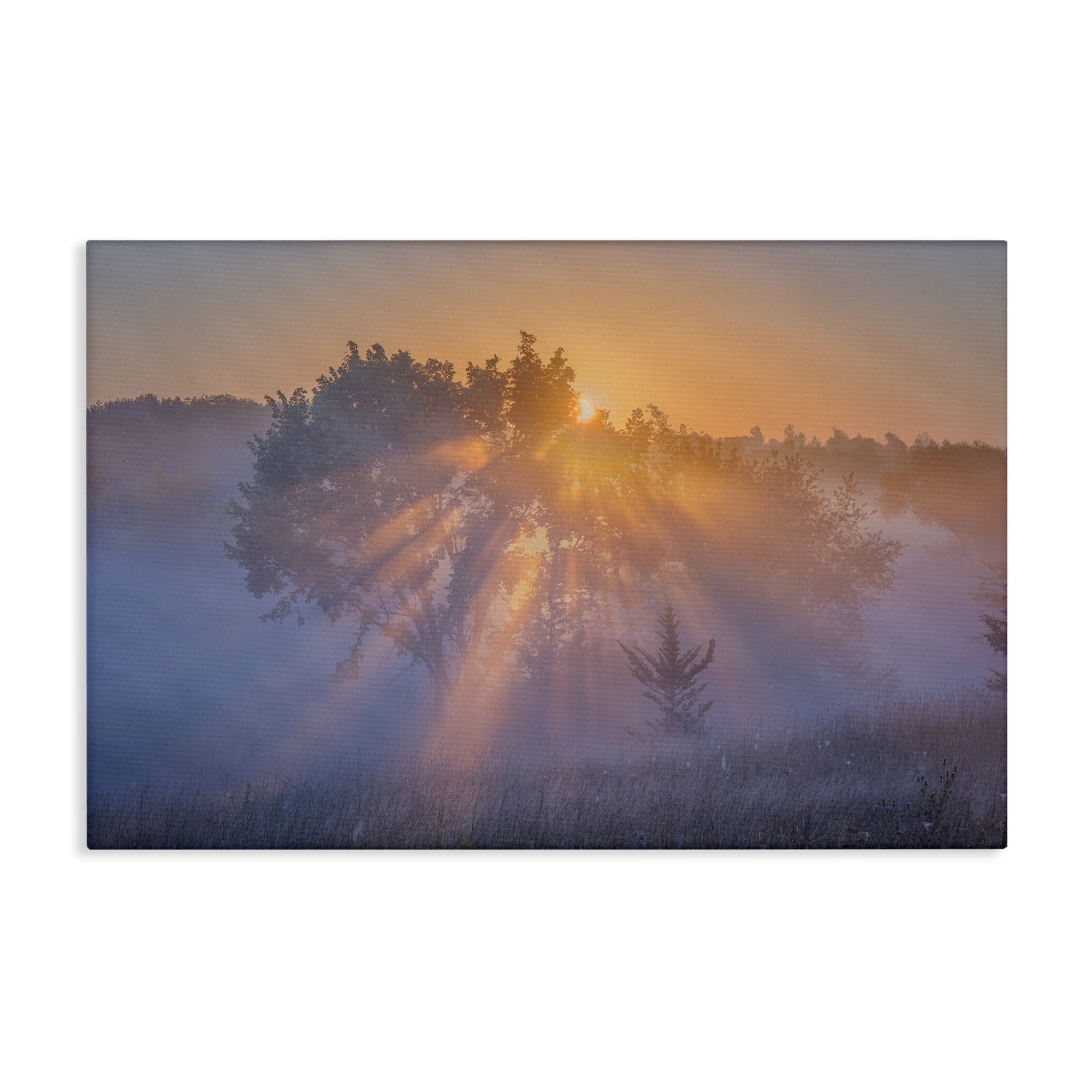 Stupell Industries Sun Rays Peeking Landscape Landscape & Nature ...