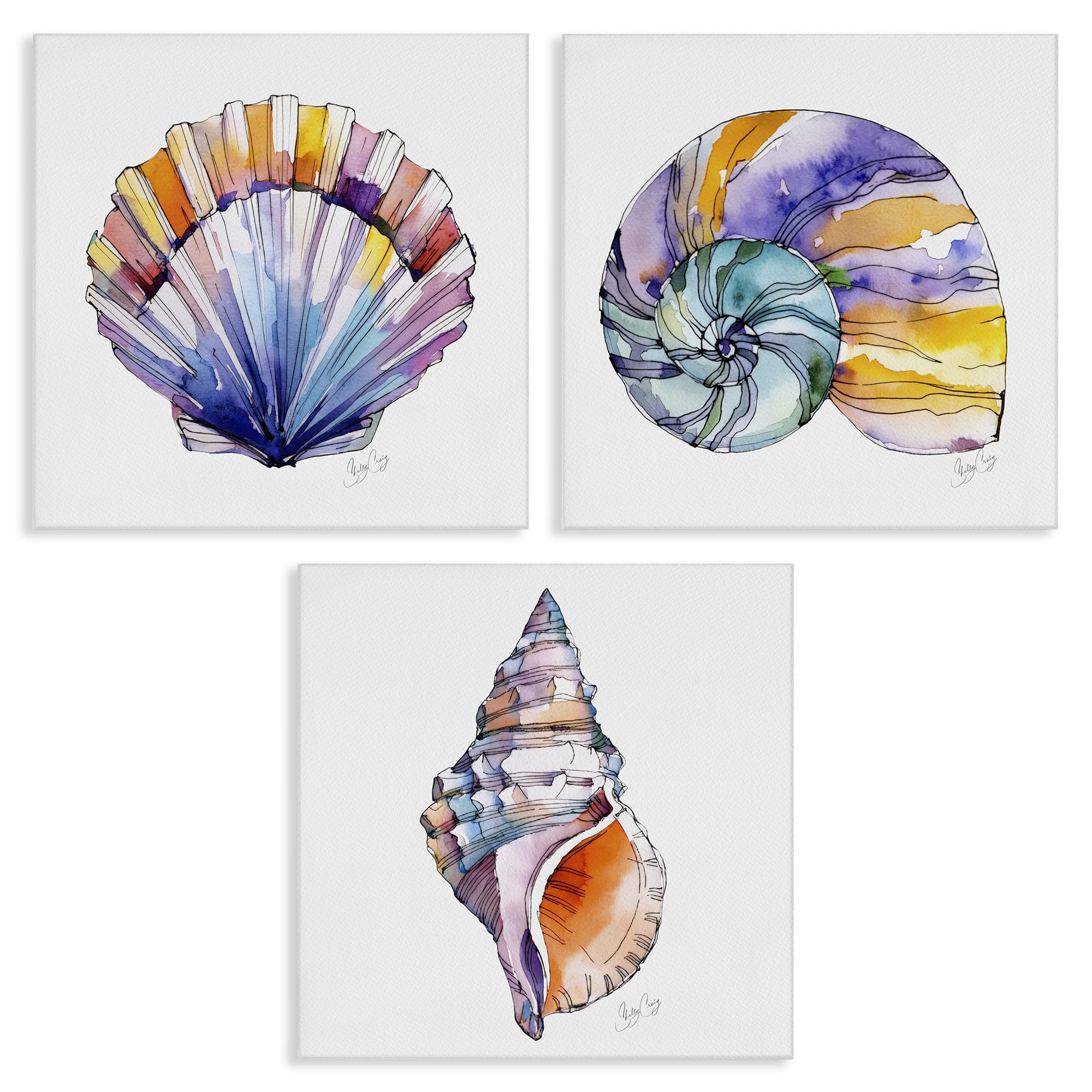 Stupell Industries Sunlit Seashells Watercolors 3 Piece Canvas Wall Art ...