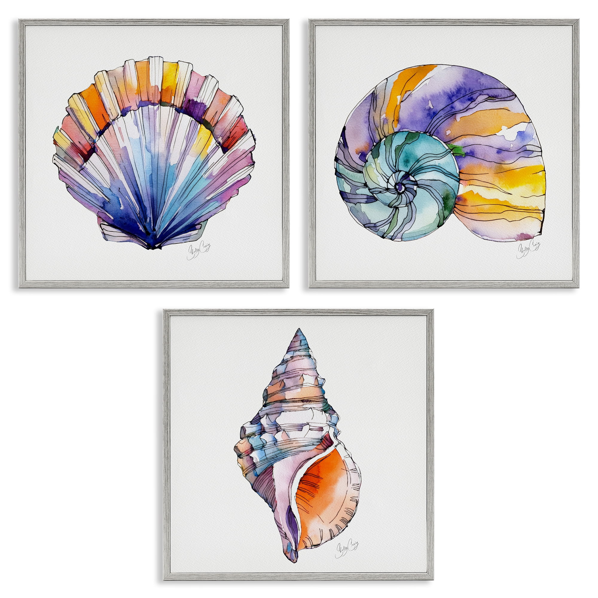 Stupell Industries Sunlit Seashells Watercolors 3 Piece Gray Framed ...