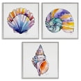 Stupell Industries Sunlit Seashells Watercolors 3 Piece Gray Framed ...