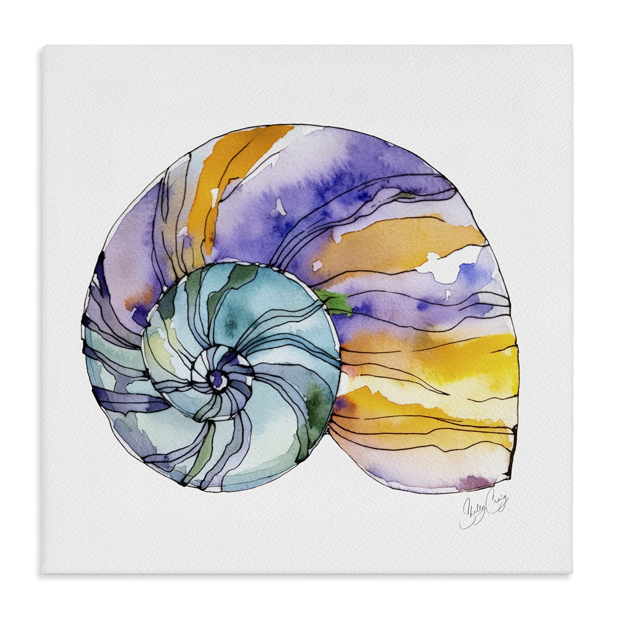 Stupell Industries Sunlit Striped Nautilus Canvas Wall Art, design by ...