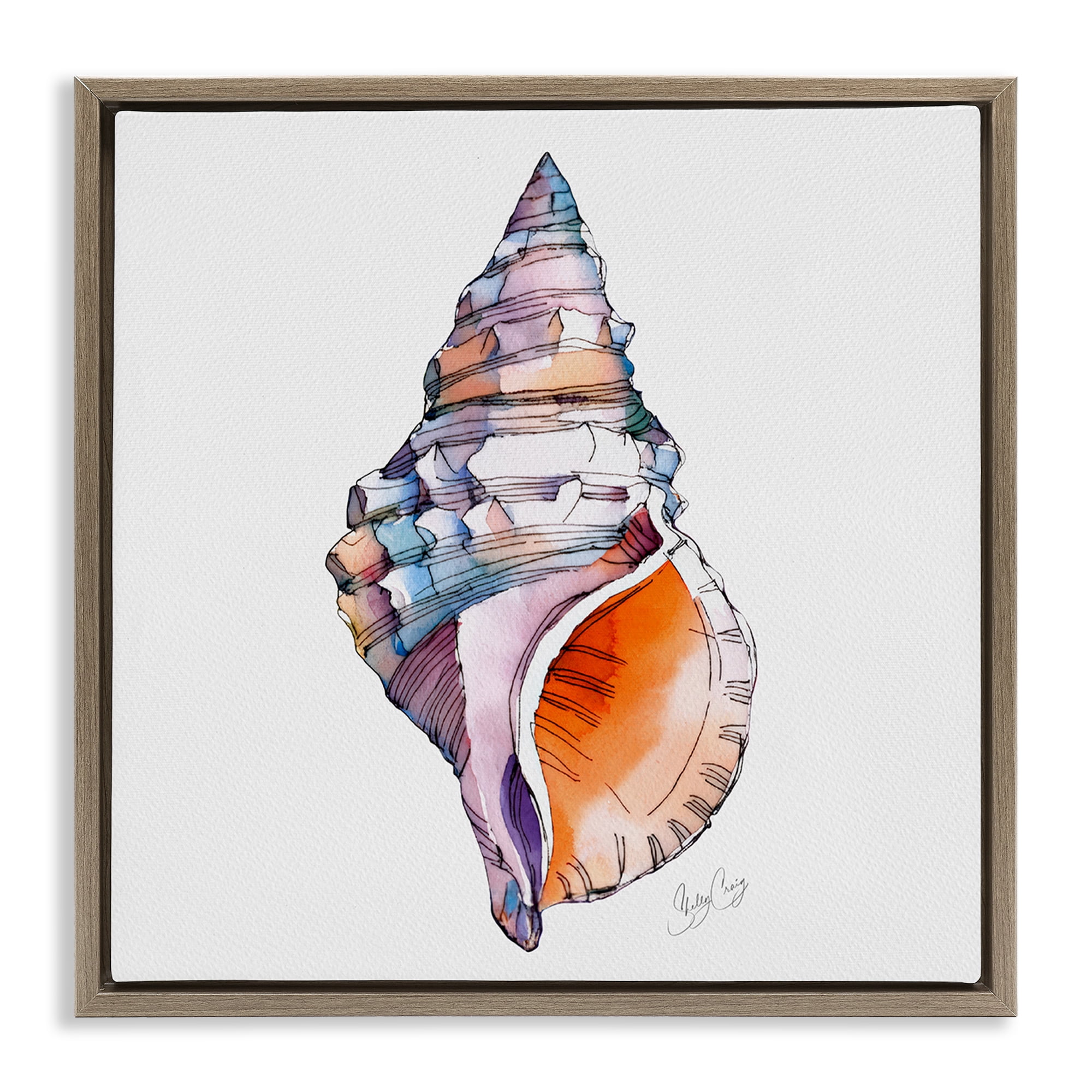 Stupell Industries Sunrise Conch Shell Brown Framed Floater Canvas Wall ...