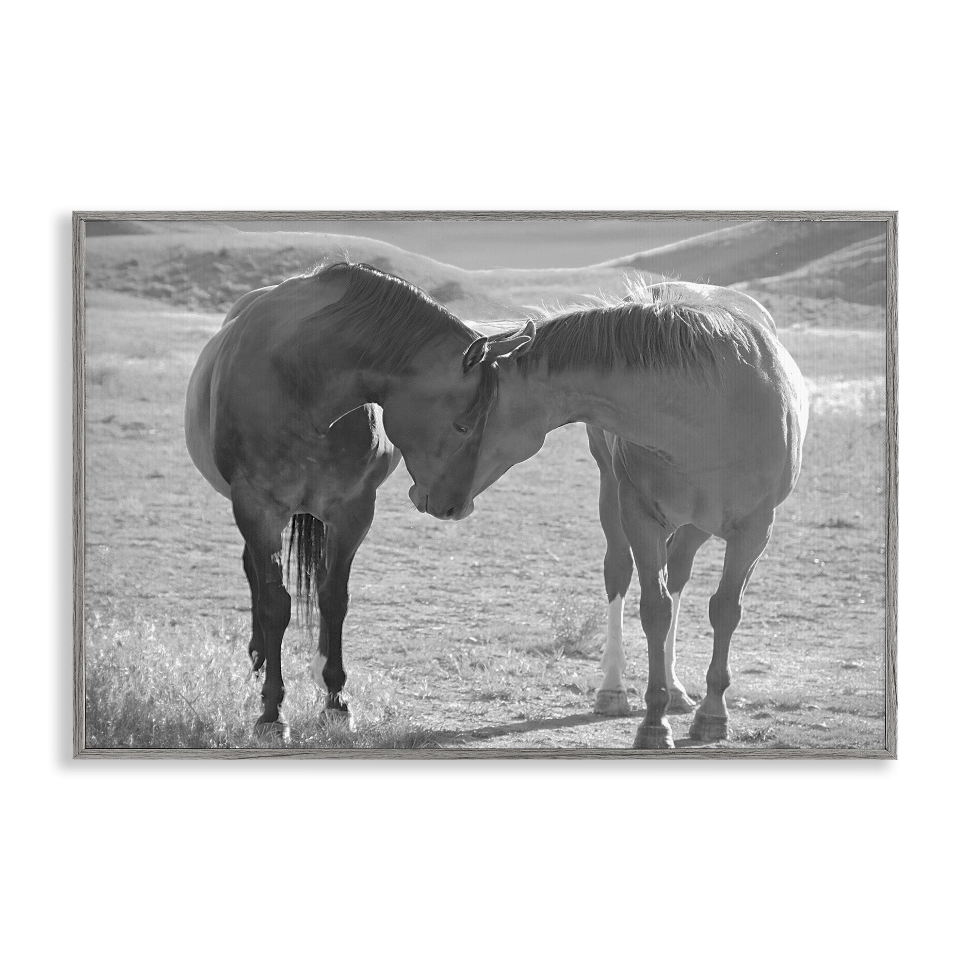 Stupell Industries Sweet Nothings Bond Between Horses Gray Framed ...