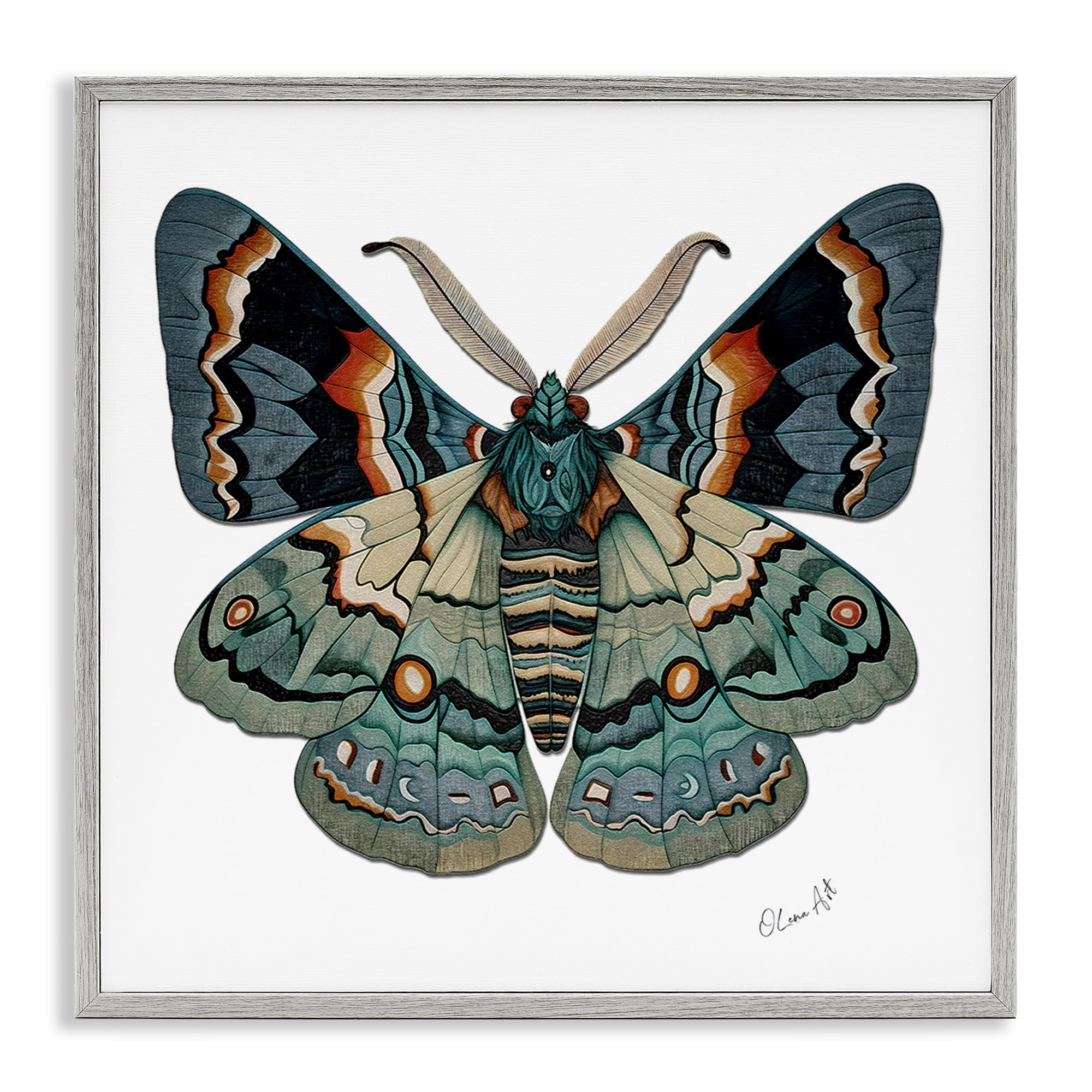 Stupell Industries Symbol Of Change Moth Animals Painting Gray Framed ...