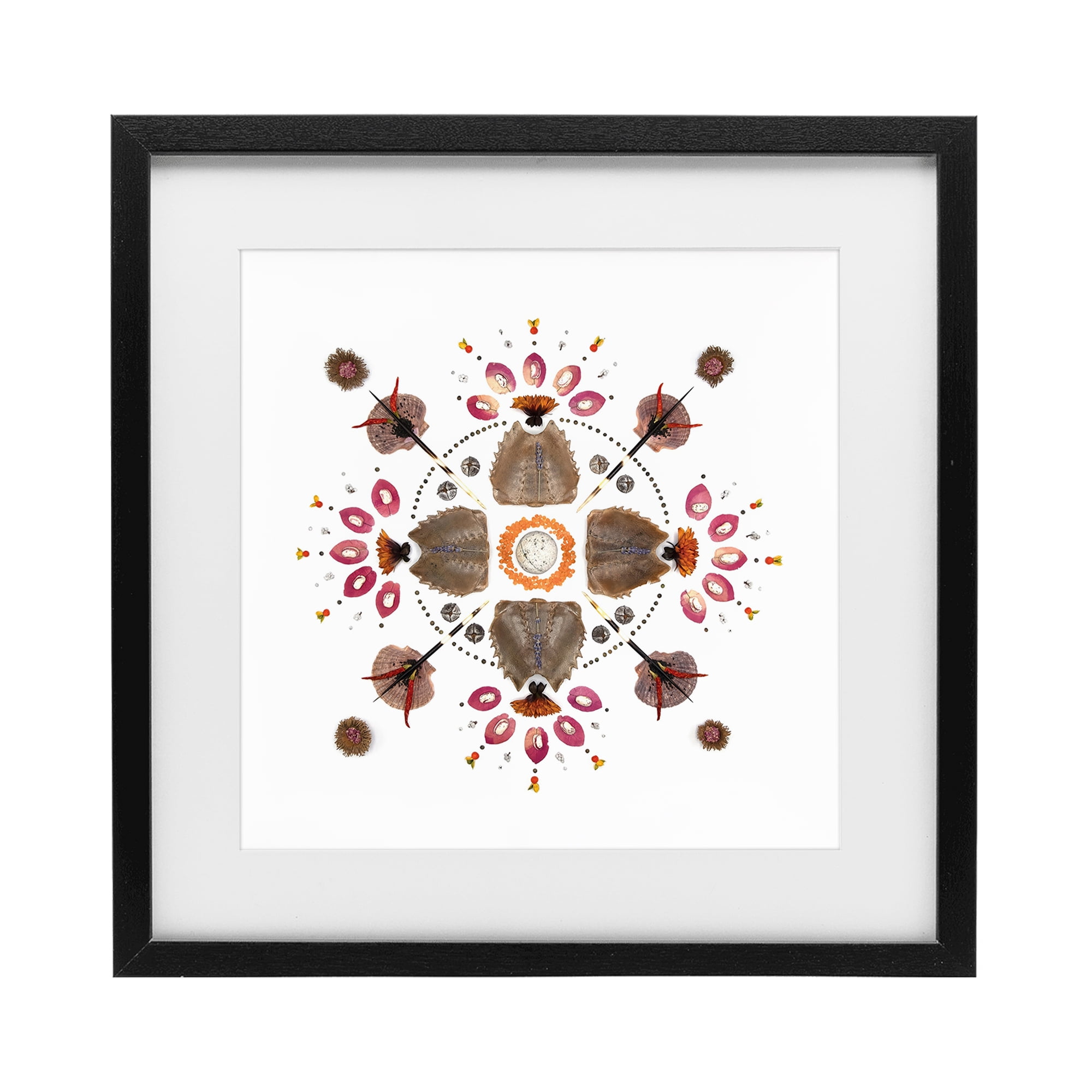 Stupell Industries Symmetrical Nautical Collection Black Framed Print ...