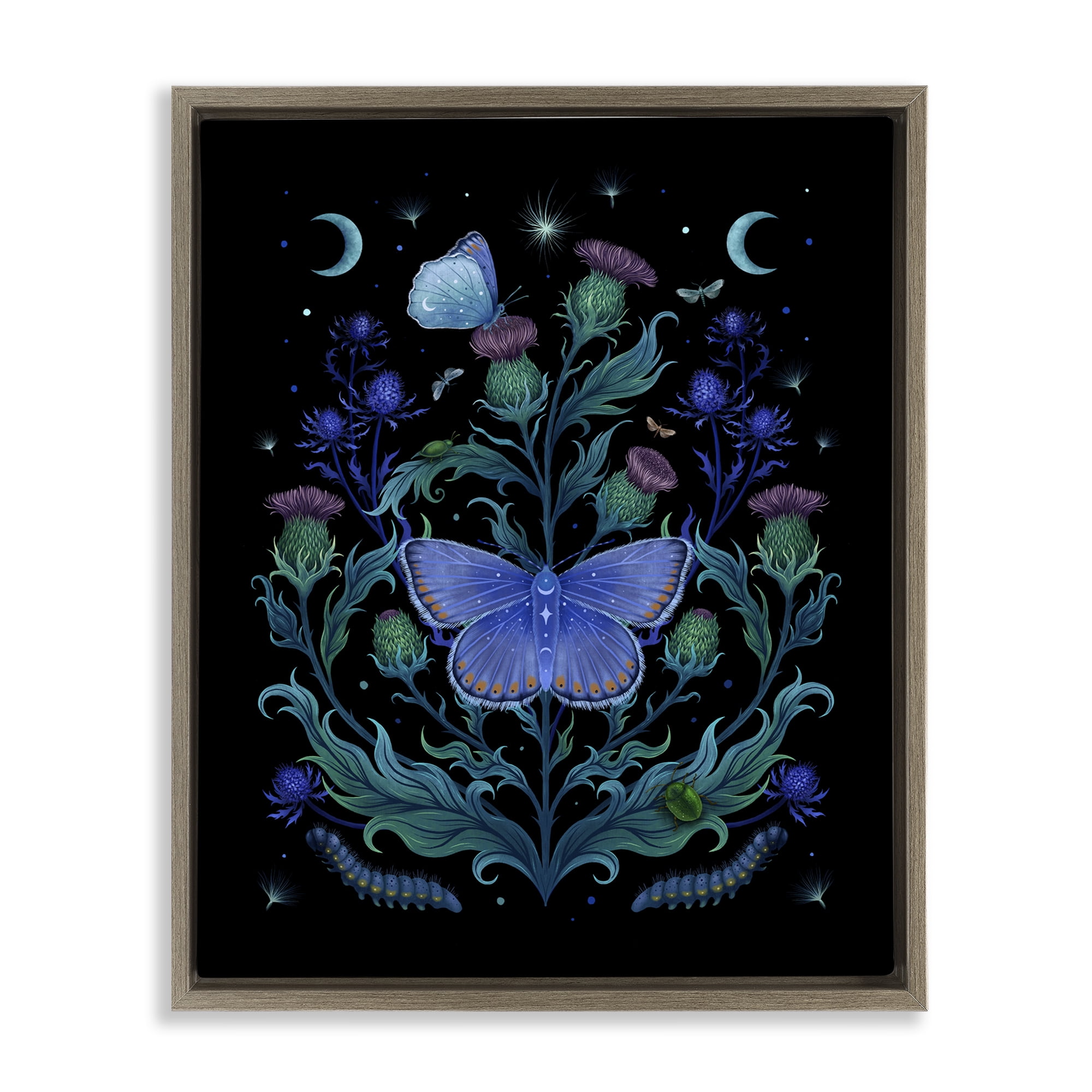 Stupell Industries Thistles & Insects at Night Brown Framed Floater ...