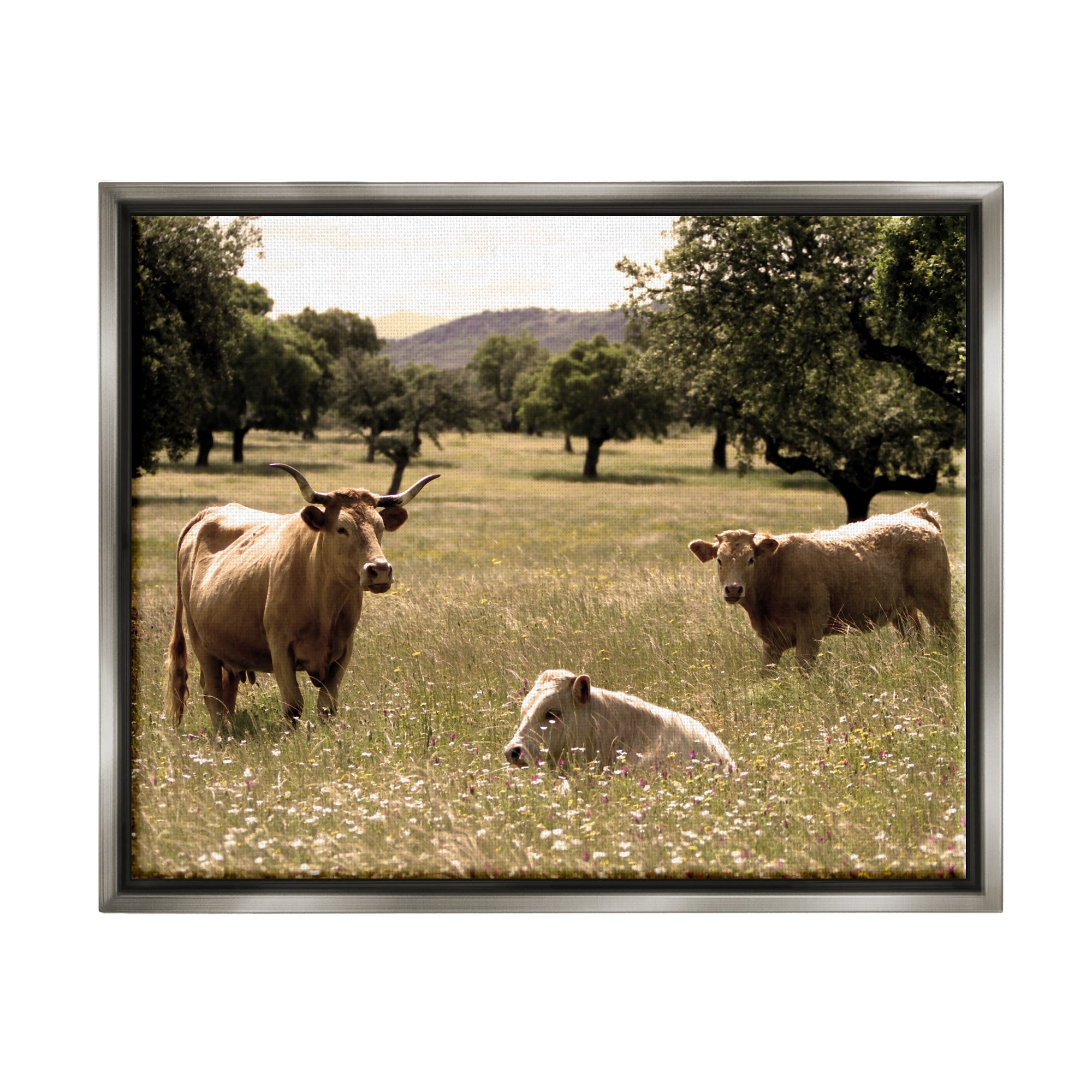 Free Shipping! Stupell Industries Three Cattle Pasture Floating Canvas ...