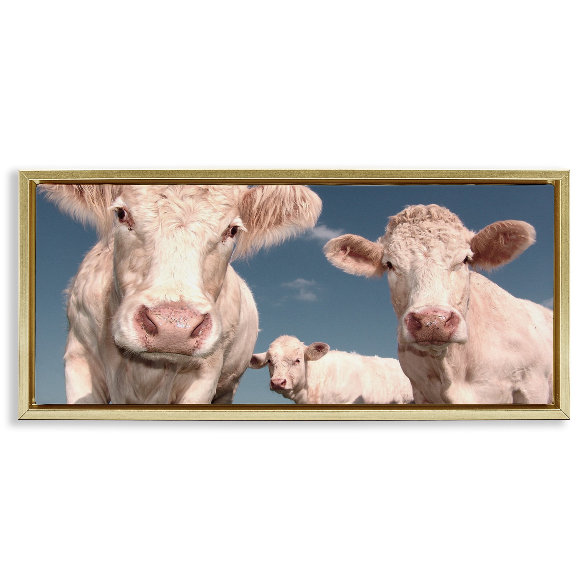 Stupell Industries Three White Cows Animals & Insects Photography Gold ...