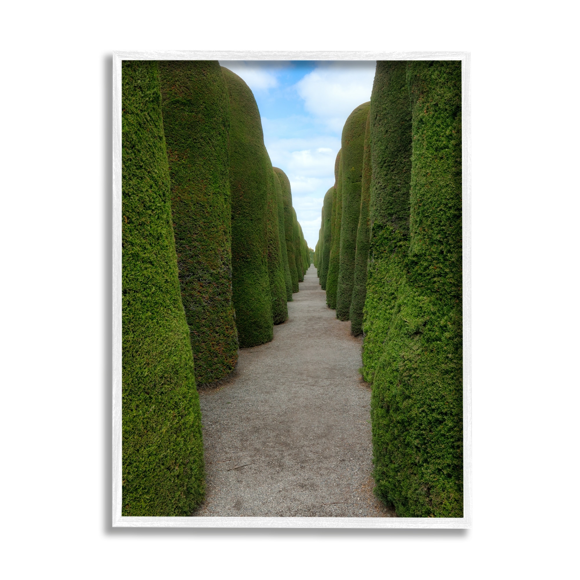 Stupell Industries Topiary Trees Hedge Pathway Landscape Photography ...