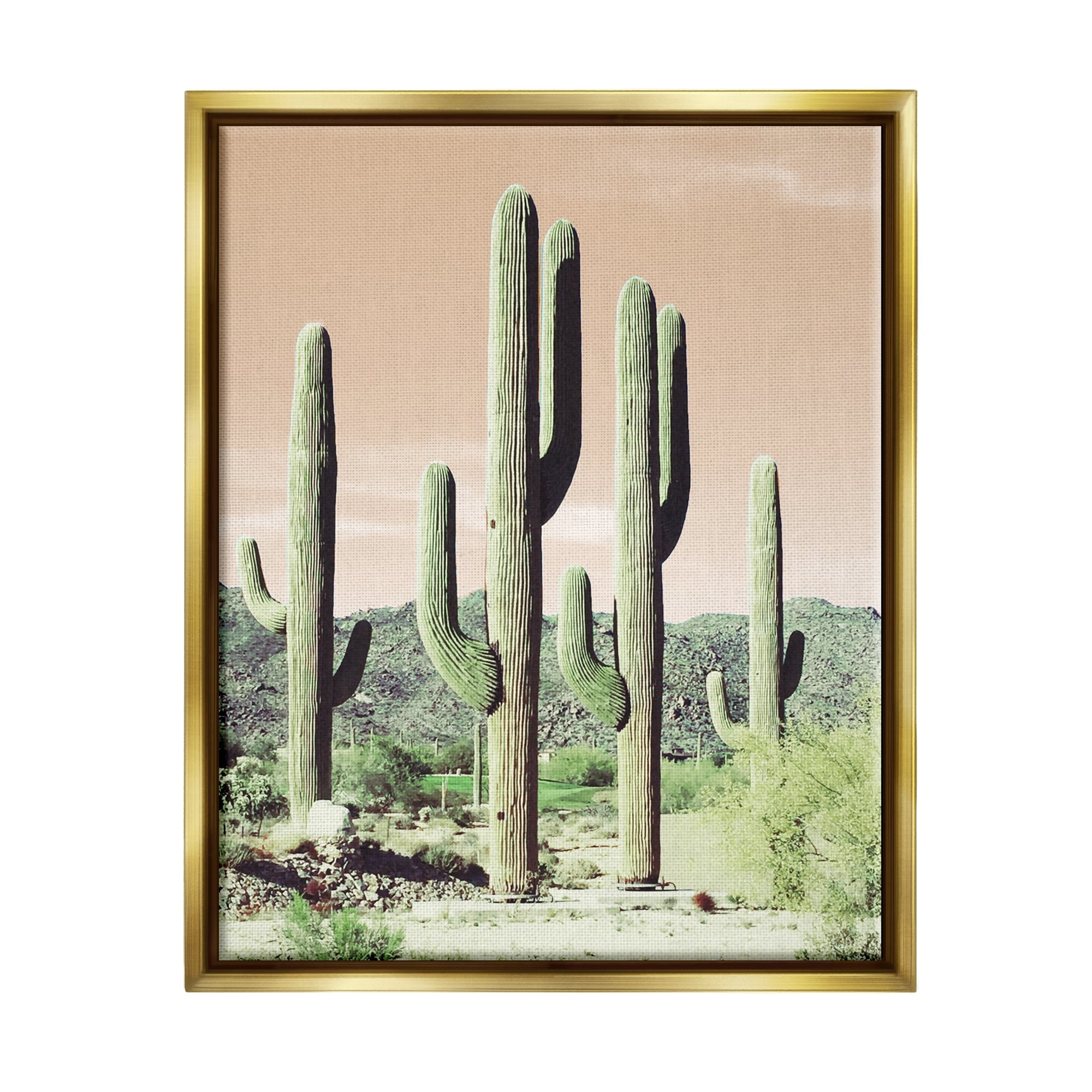 Free Shipping! Stupell Industries Modern Floating Cactus Desert Canvas ...