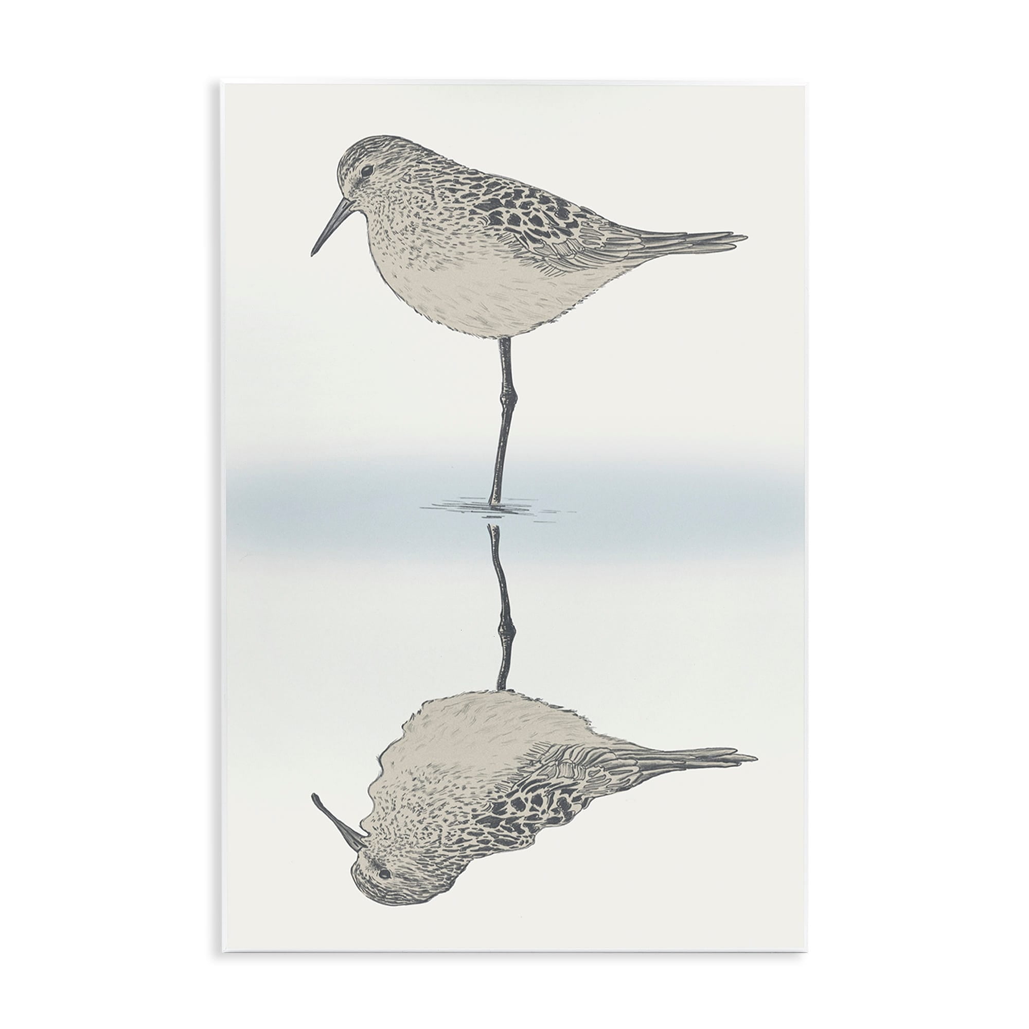 Stupell Industries Tranquil Sandpiper Bird Reflection Shallow Beach ...