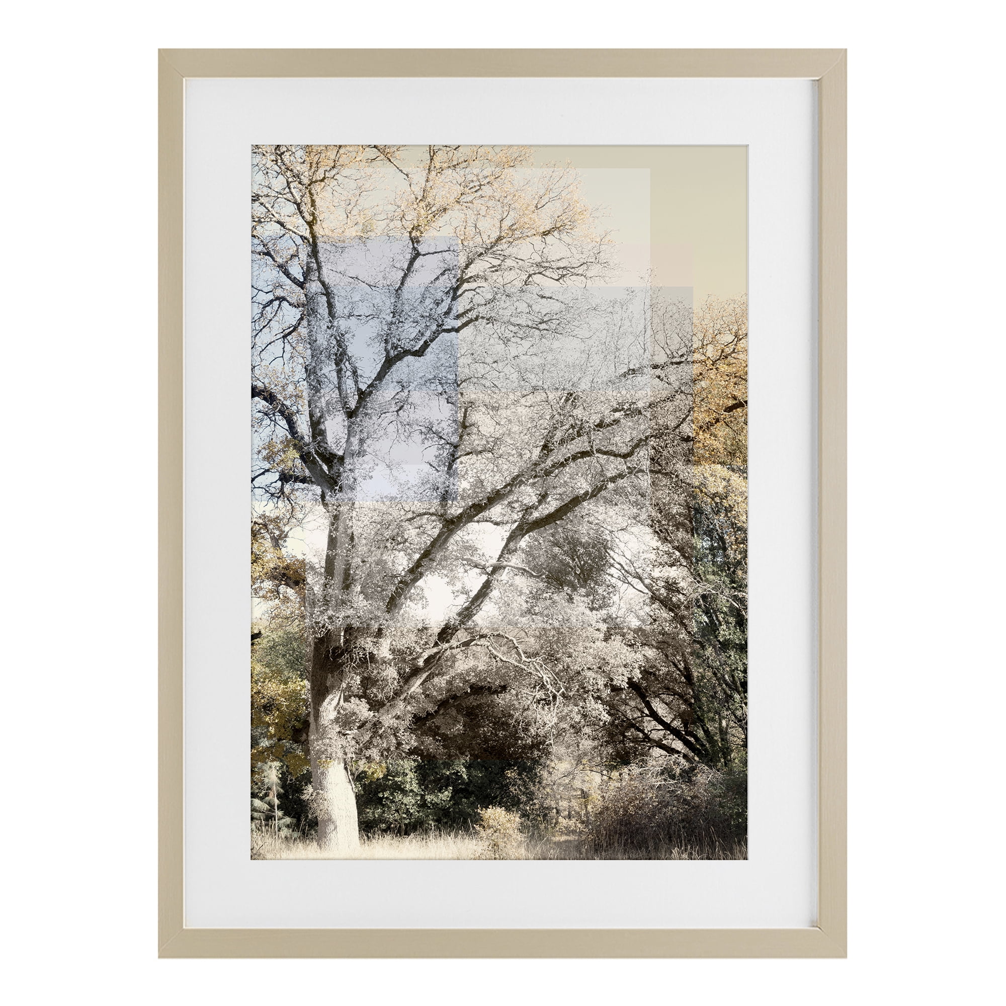 Stupell Industries Tree Collage Layers Birch Framed Print Under Glass ...