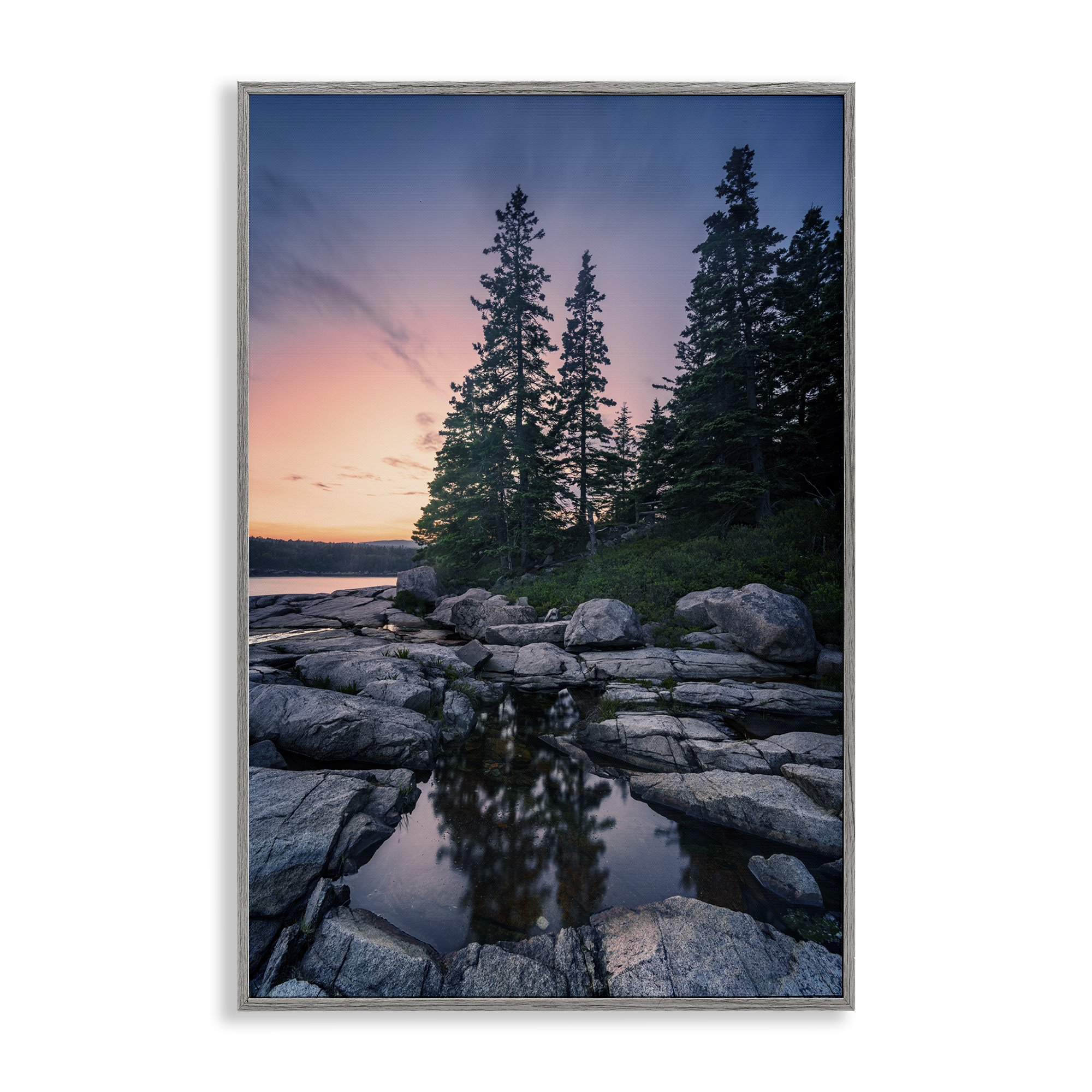 Stupell Industries Trees Reflected in Tide Pool Landscape & Nature ...