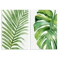 Stupell Industries Tropical Green Palms Minimal White Background ...