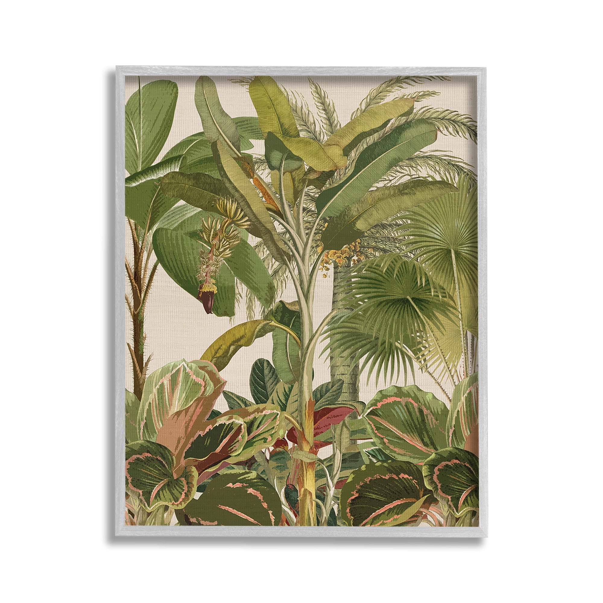 Stupell Industries Tropical Jungle Vegetation Botanical & Floral ...