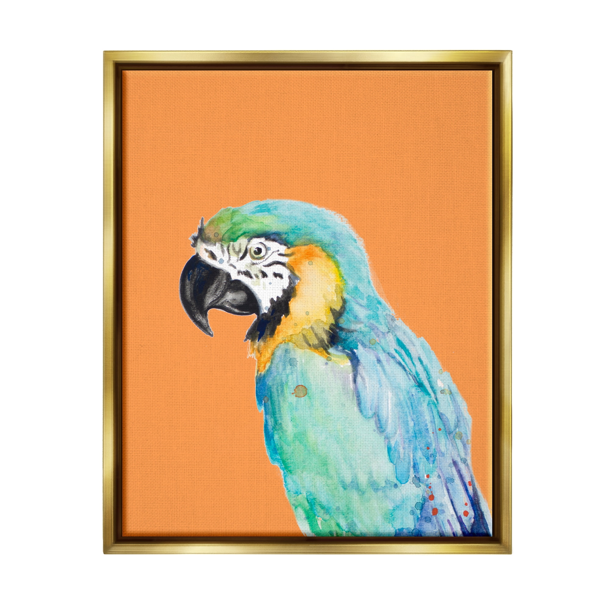 Blue Rainforest Parrot