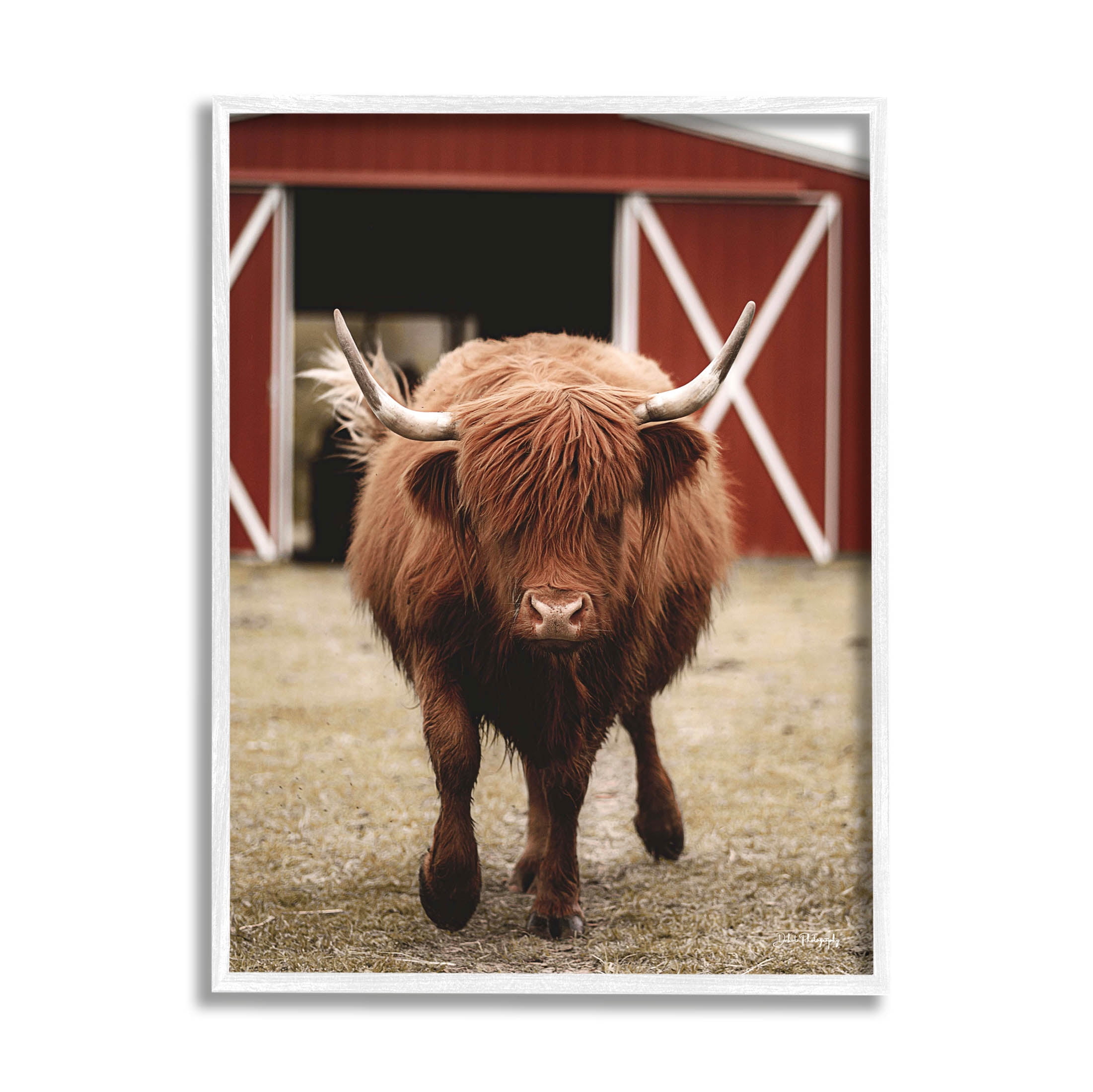 Stupell Industries Highland Cattle Framed Art Print - 16x20 - Walmart.com