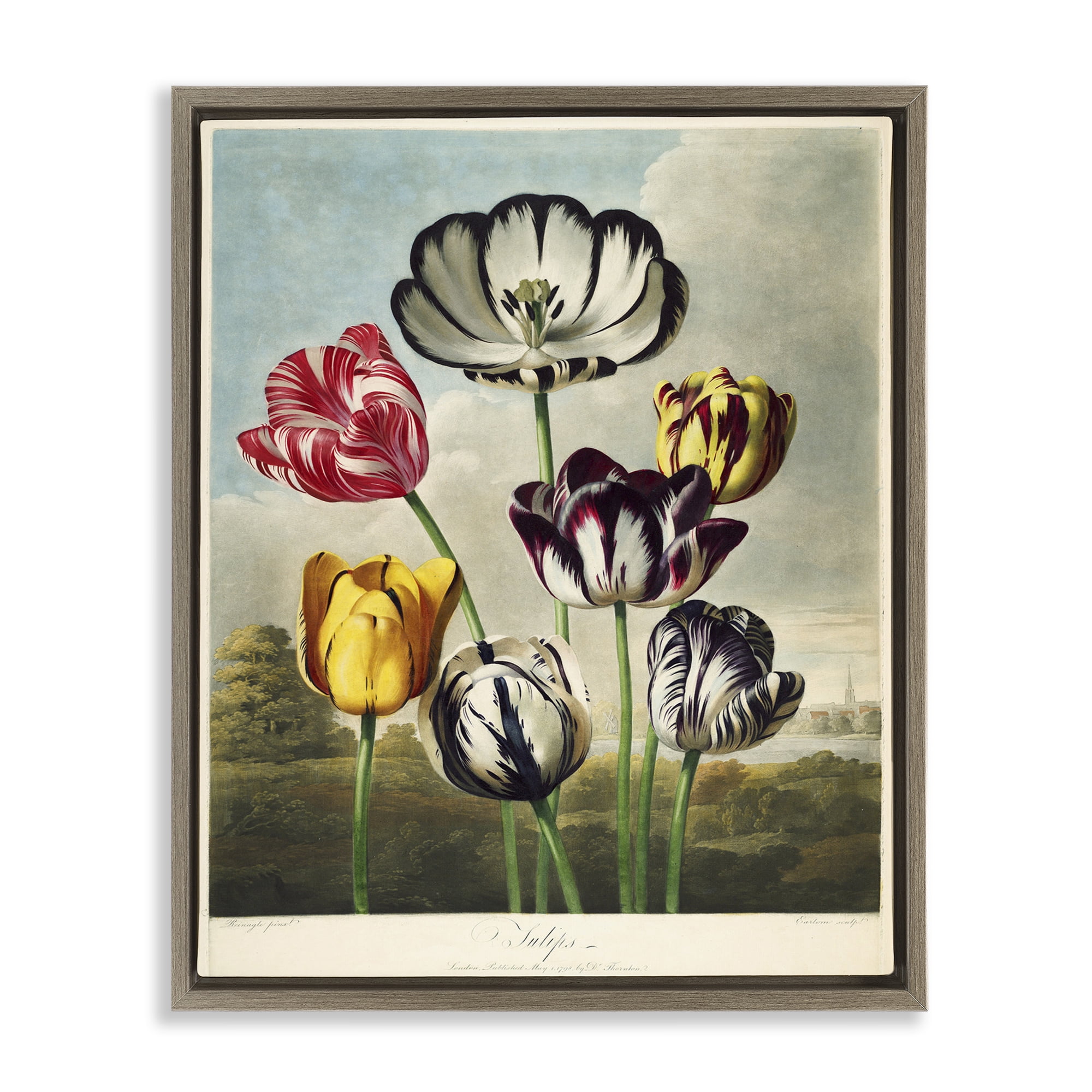 Stupell Industries Tulips From The Temple Brown Framed Floater Canvas ...