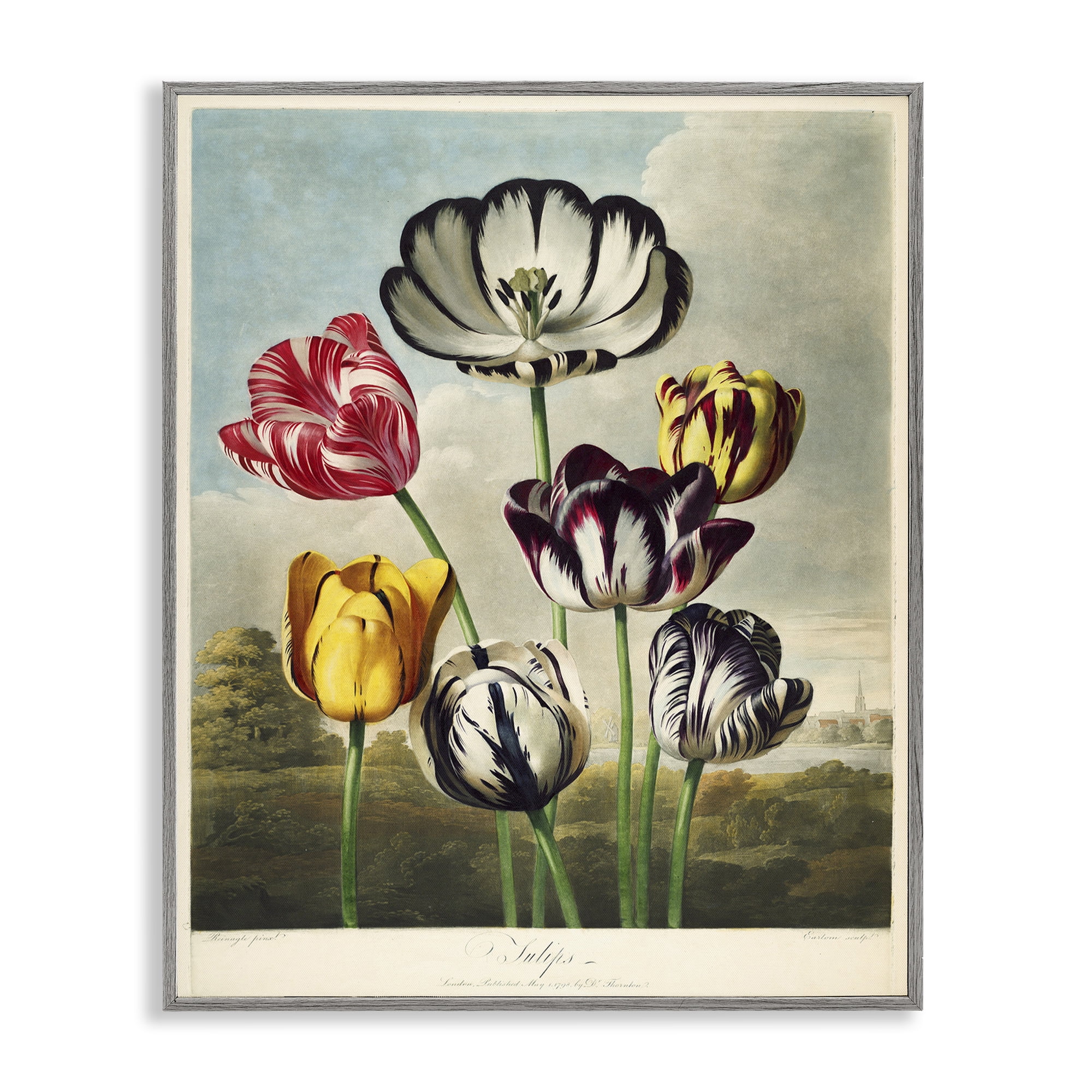 Stupell Industries Tulips From The Temple Gray Framed Giclee Art ...