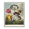 Stupell Industries Tulips From The Temple Gray Framed Giclee Art ...