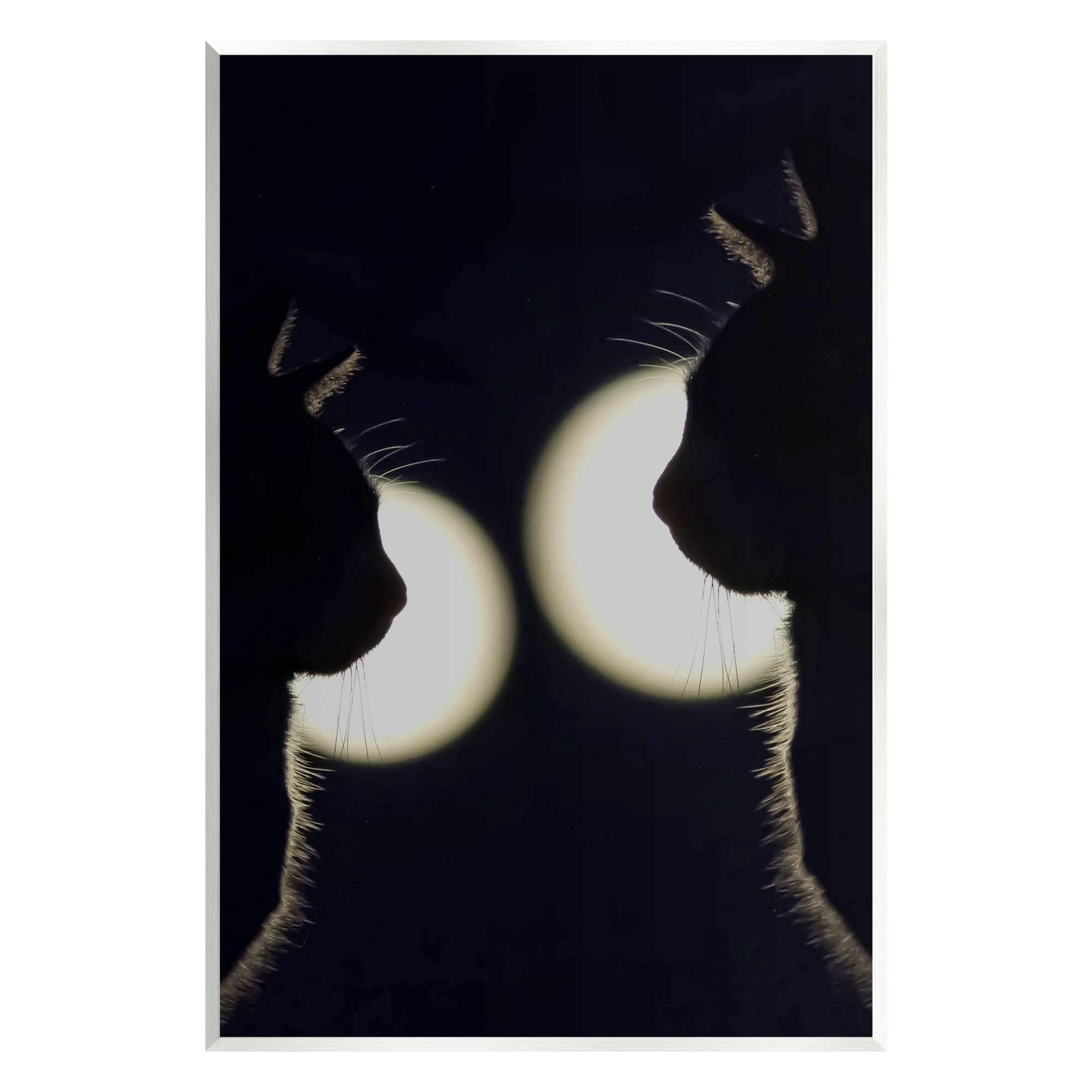 Stupell Industries Two Black Cats Silhouettes Nighttime Moonlight ...