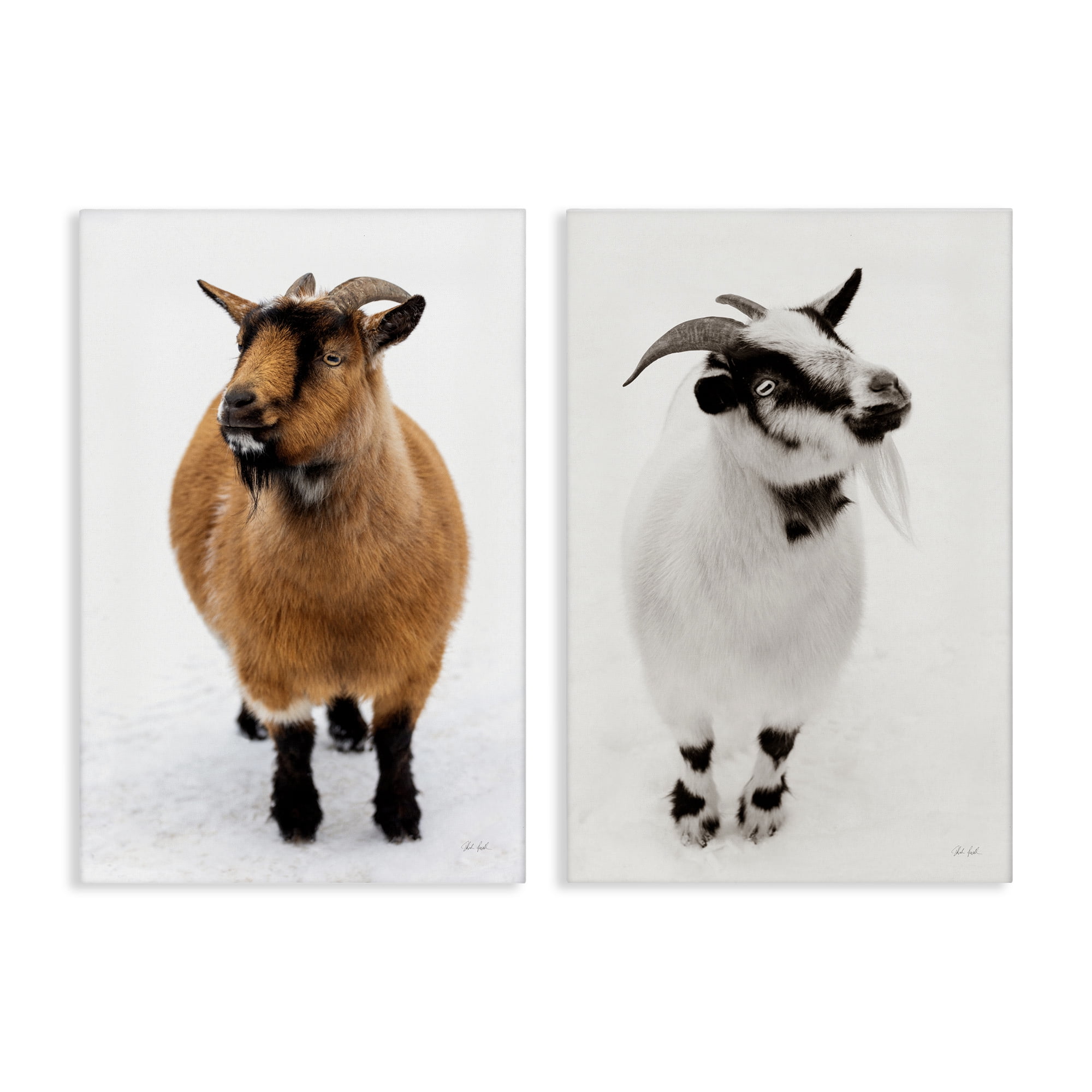 Stupell Industries Two Little Goats 2 Piece Canvas Wall Art Set design ...