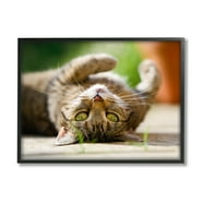 FrameToWall - Fat Cat Capsizing 29x15 Framed Art Print by Watherwax ...