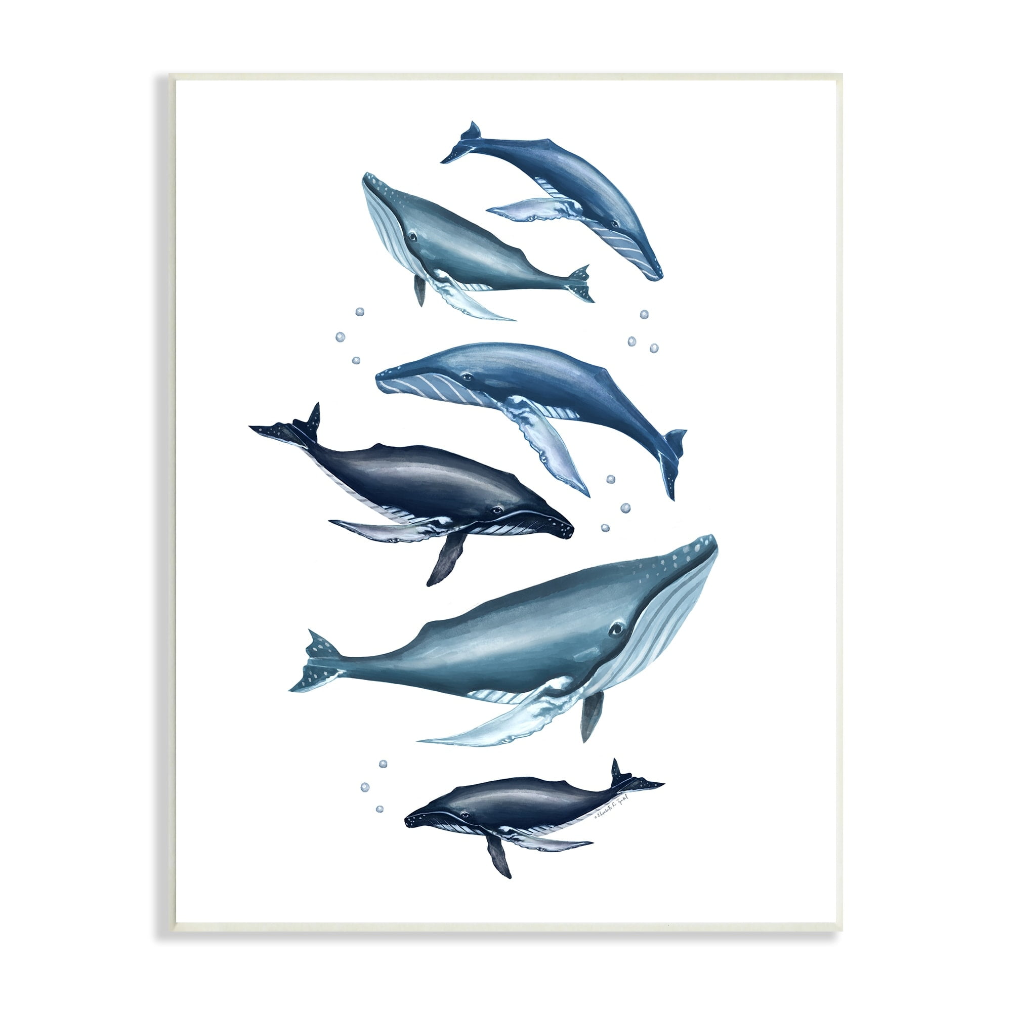 Stupell Industries Varied Blue Whales Marine Life Bubbles Fins Wood ...