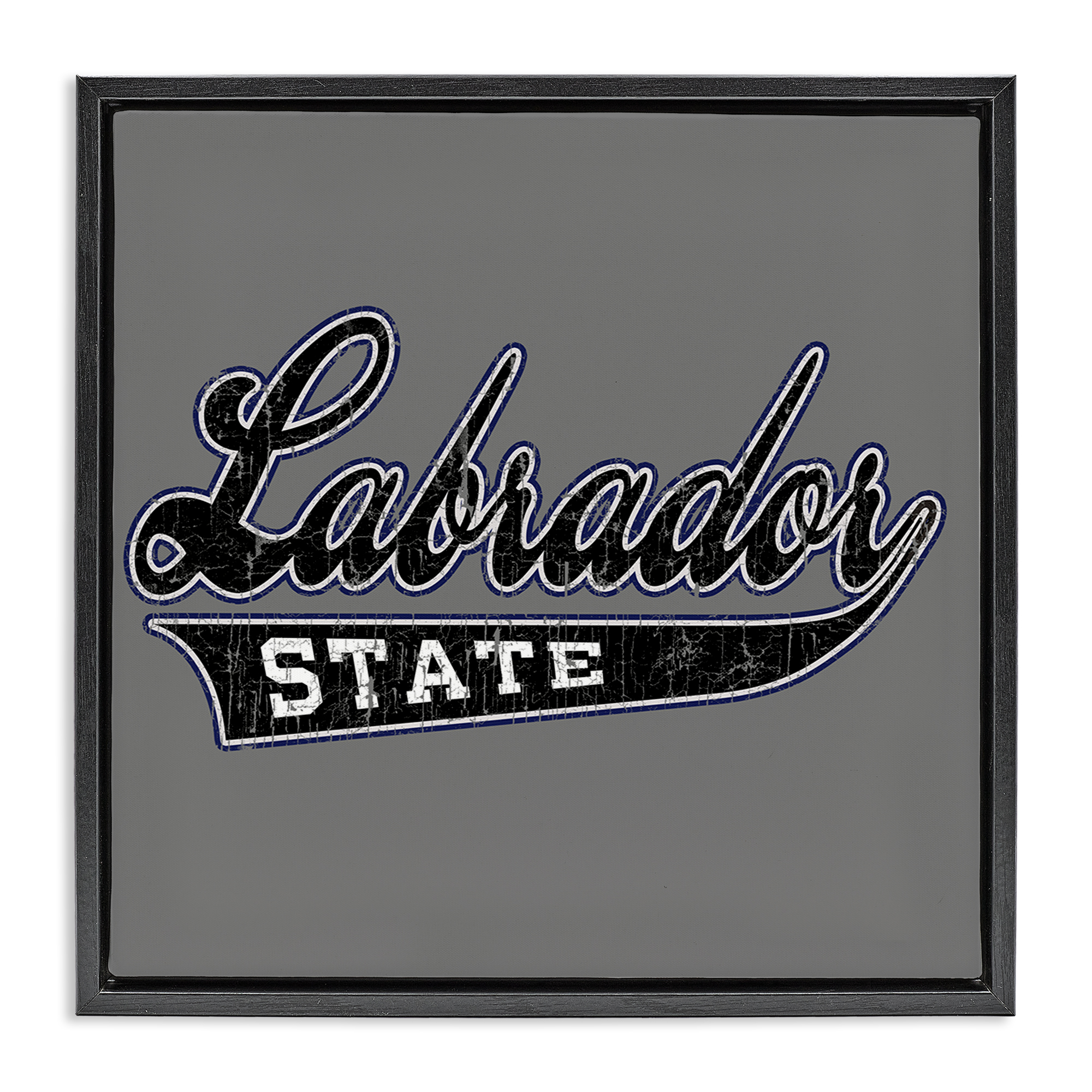 Stupell Industries Varsity Labrador State College Novelty & Humor ...