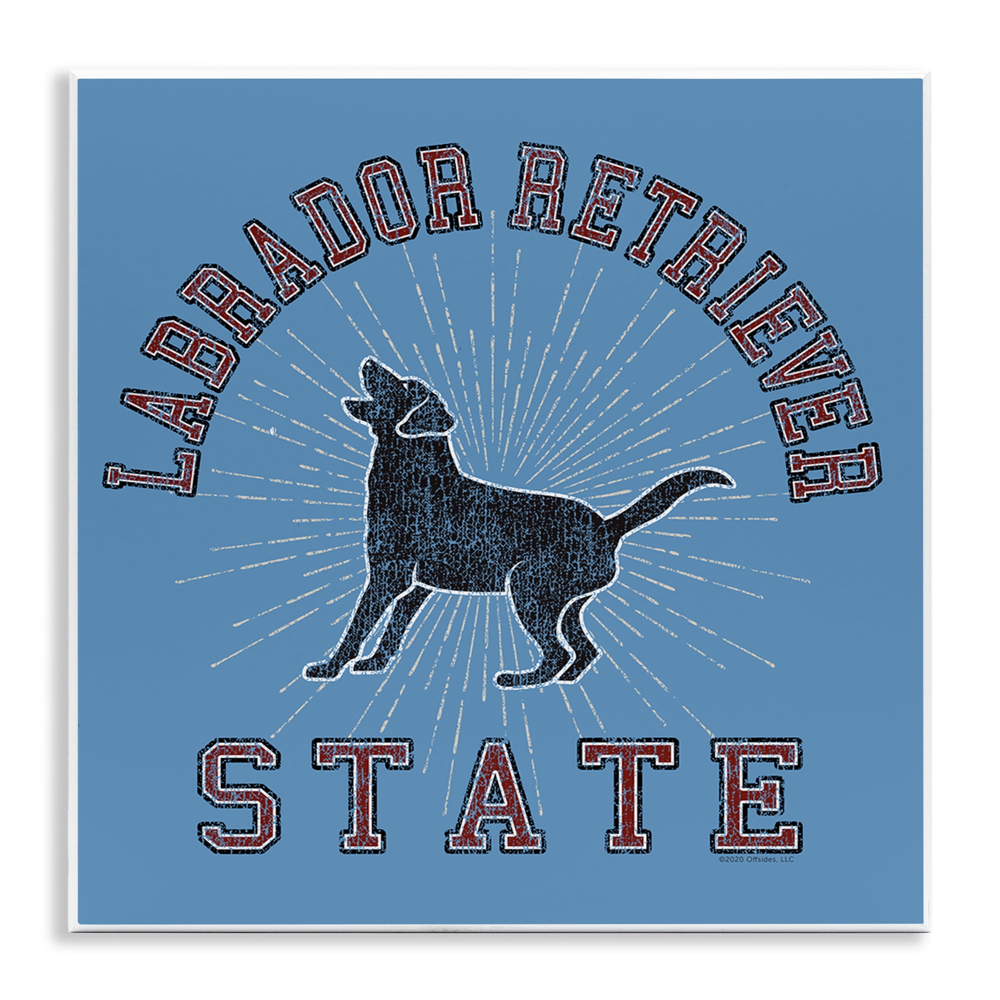 Stupell Industries Varsity Labrador State Novelty & Humor Painting ...