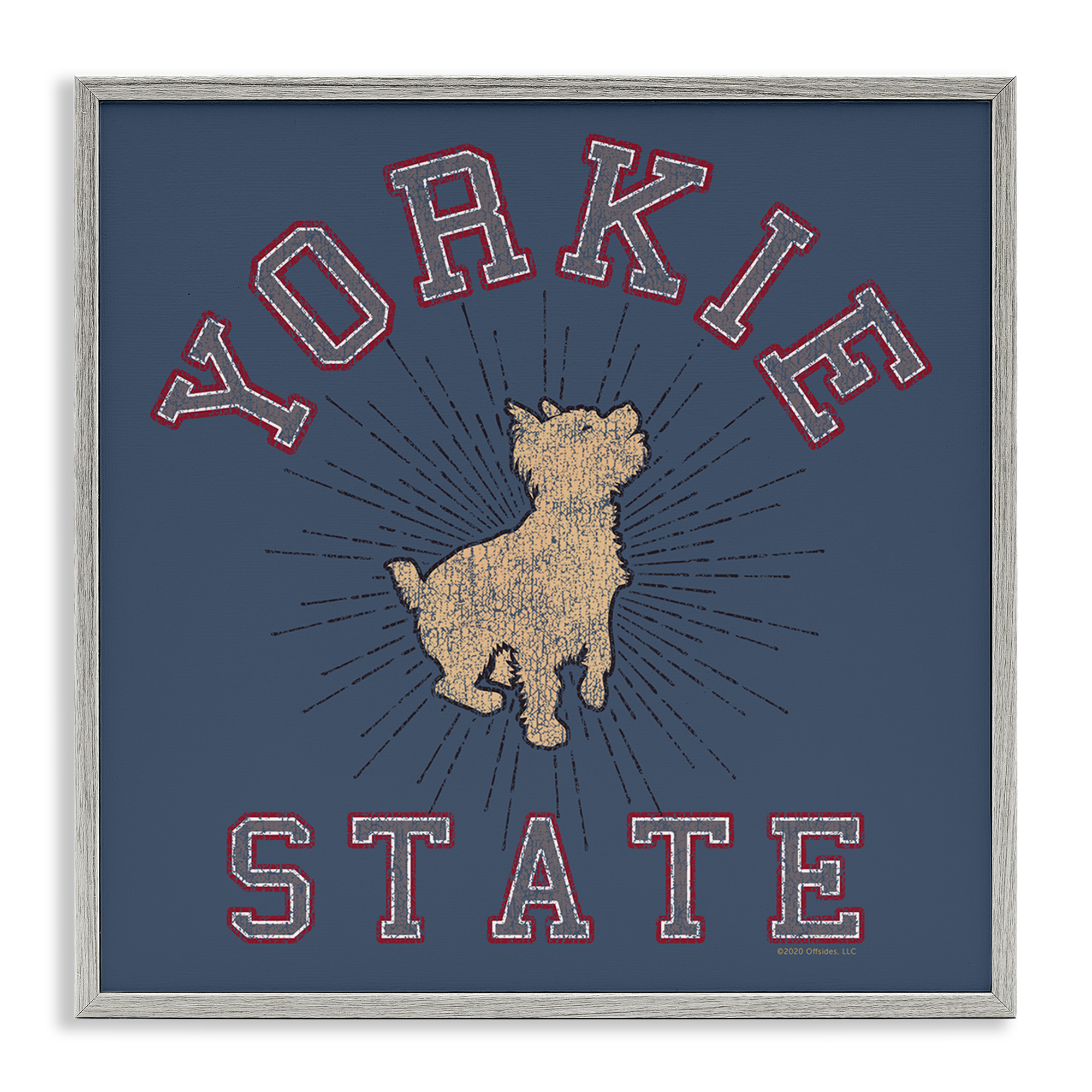 Stupell Industries Varsity Yorkie State Novelty & Humor Painting Gray ...