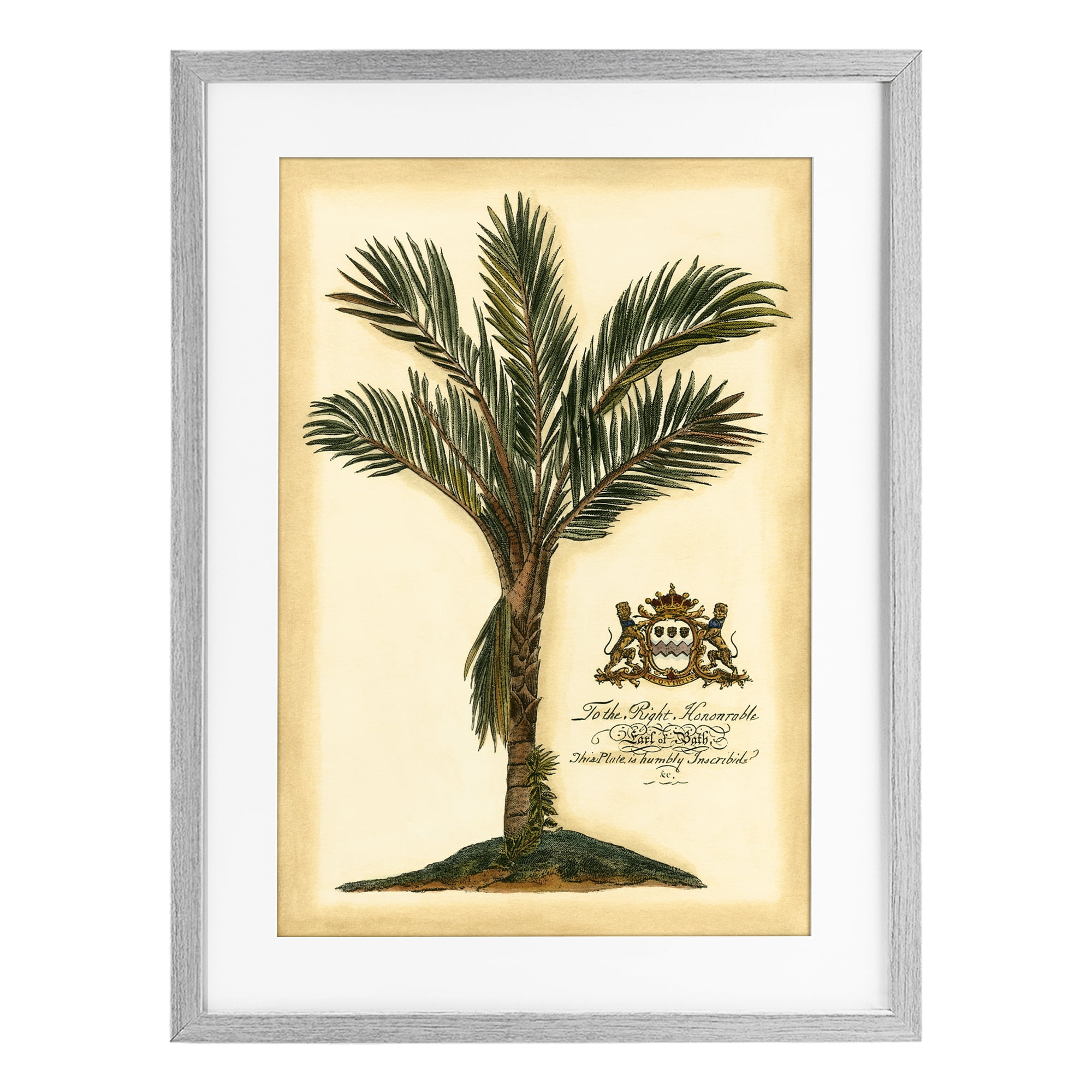 Stupell Industries Vintage Colonial Palm Gray Framed Print Under Glass ...