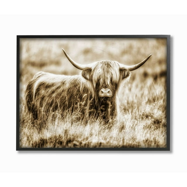 Stupell Industries Vintage Cow In Pasture Animal Photo Framed Giclee ...