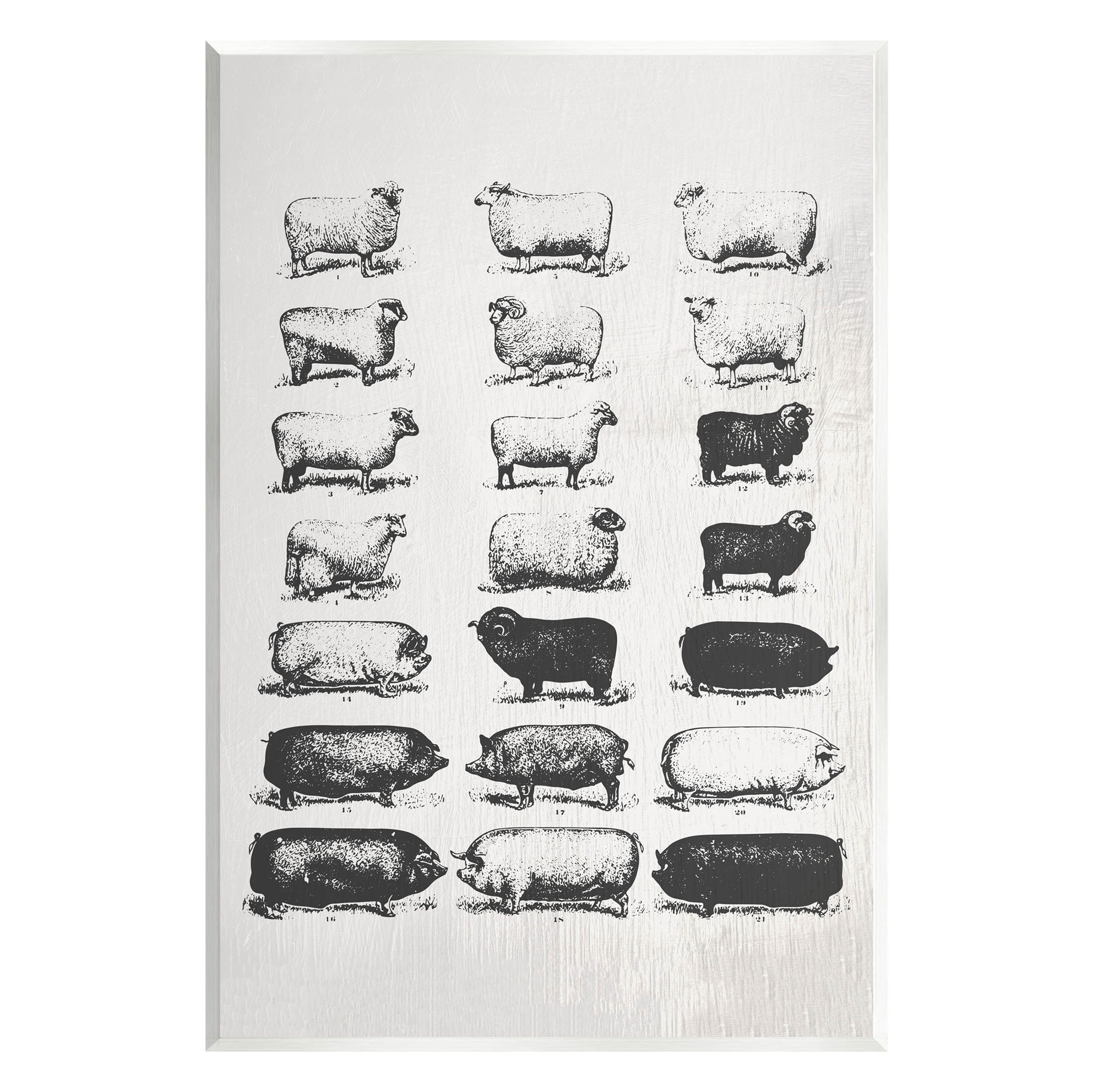 Stupell Industries Vintage Farm Animal Chart Art Print - Walmart.com