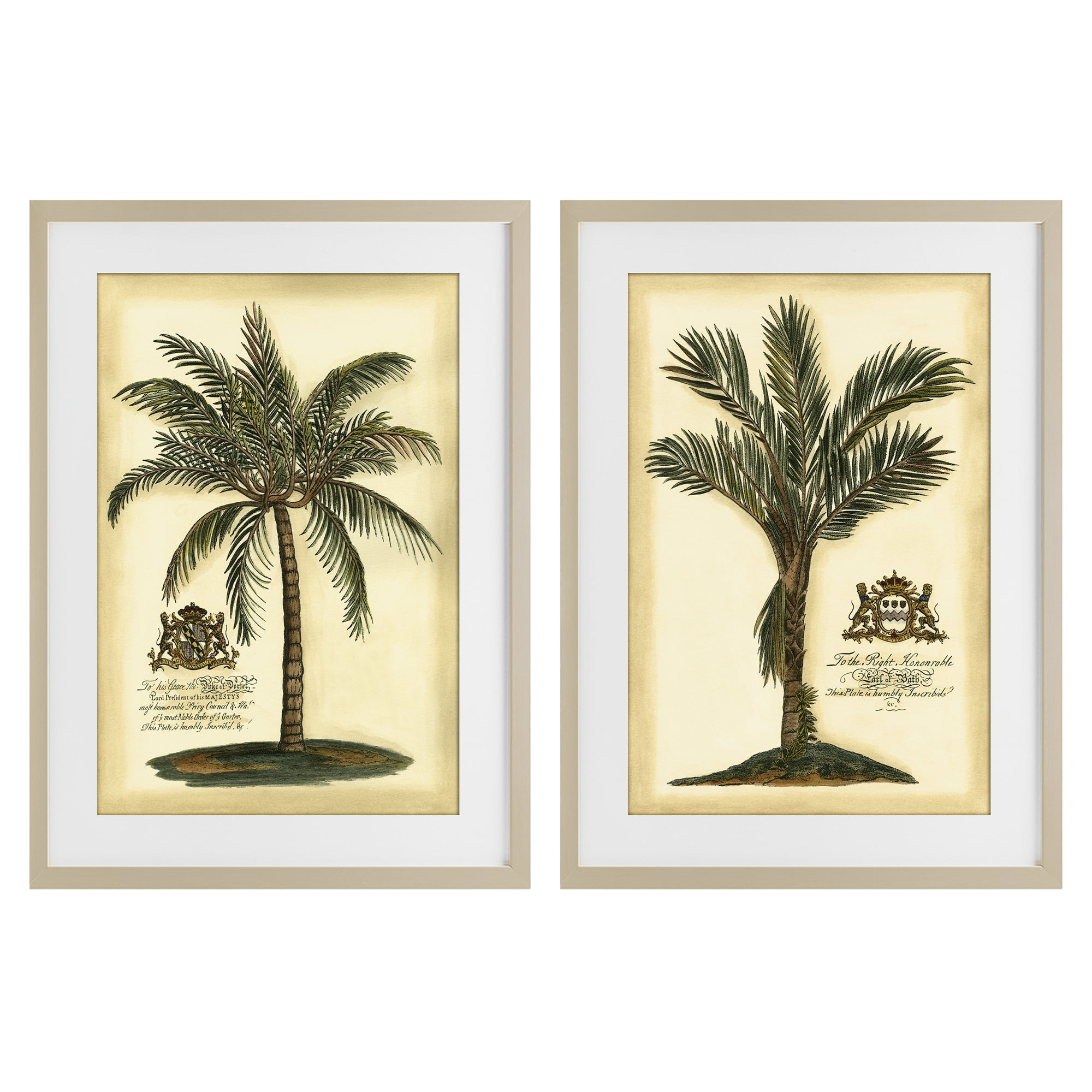 Stupell Industries Vintage Historical Palms 2 Piece Birch Framed Print ...