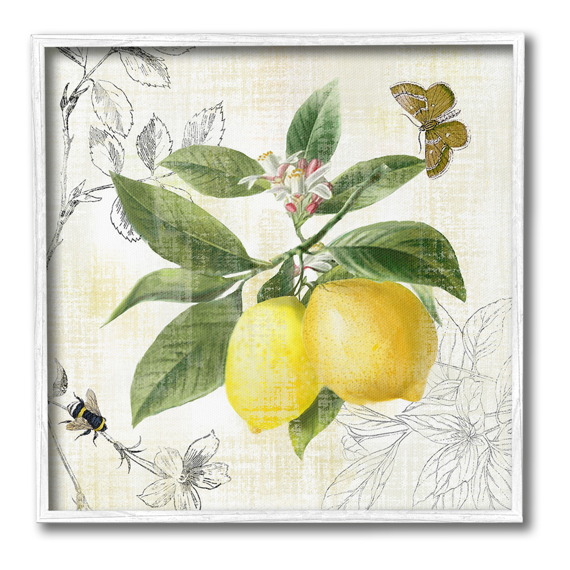 Stupell Industries Vintage Lemon Pattern Framed Wall Art 17x17 Kitchen ...