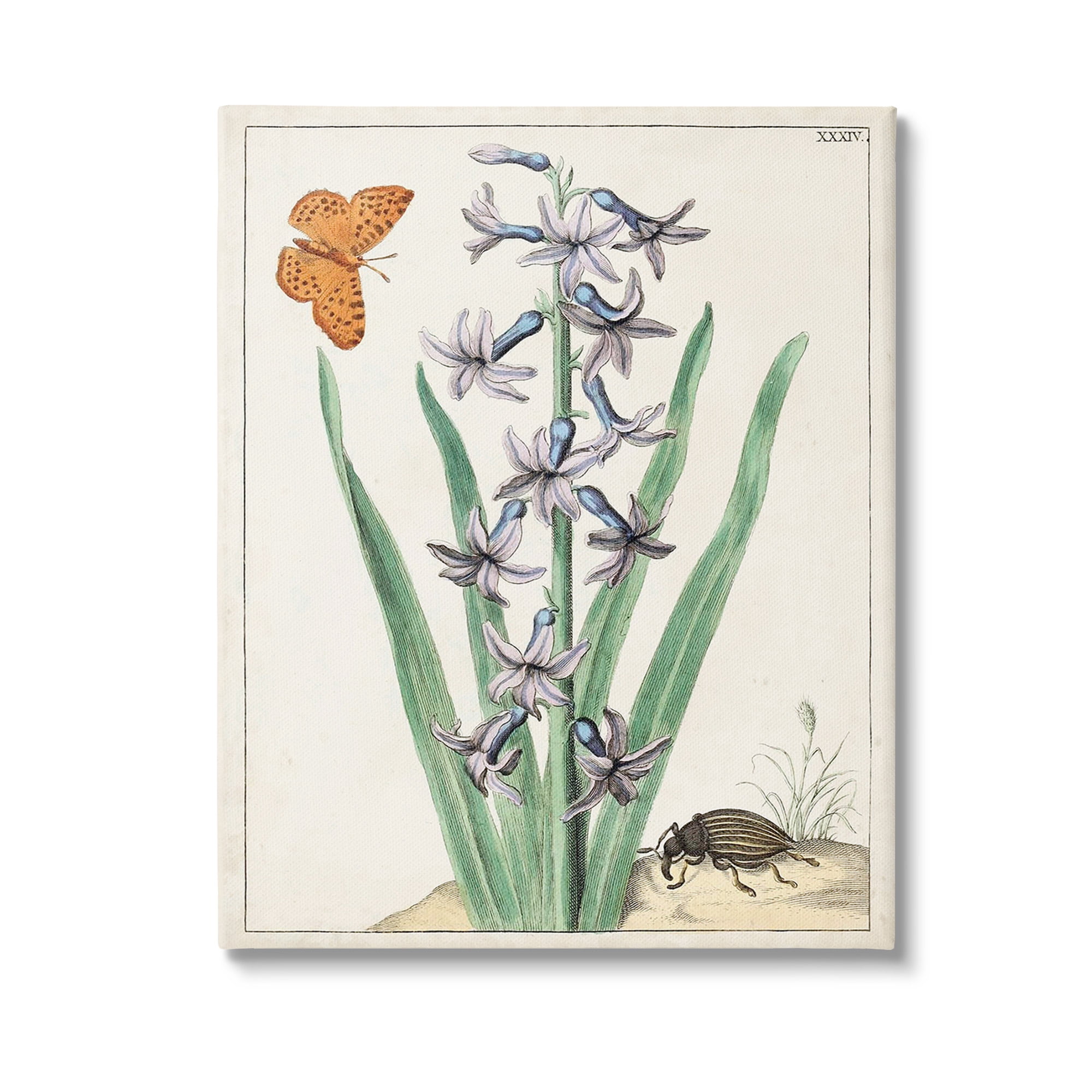 Stupell Industries Vintage Plant & Beetle Botanical & Floral Painting ...